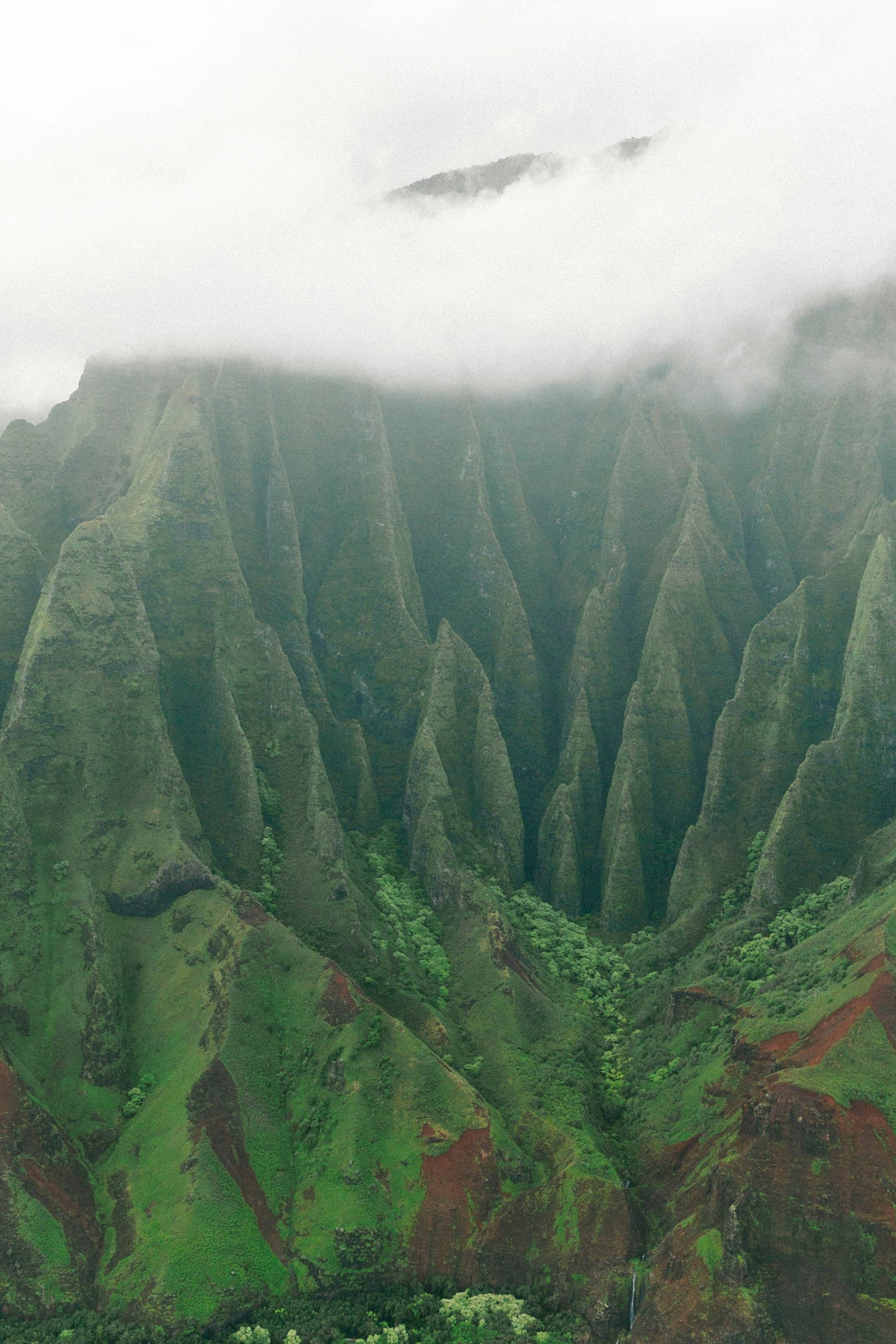 A Week in Kaua'i: The Best Eats