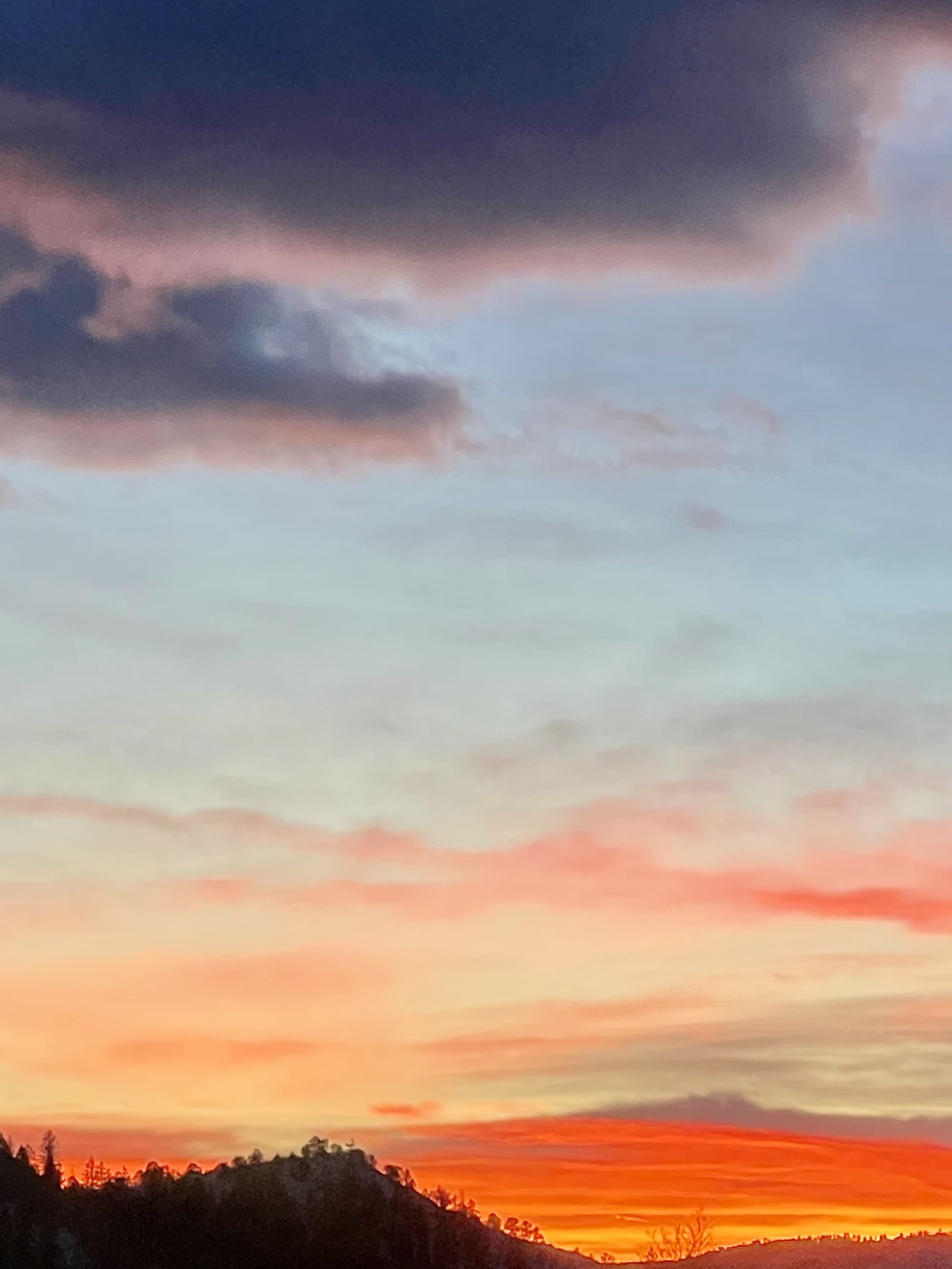 Durango, Colorado: Your Gateway to Outdoor Adventure and Cozy Retreats