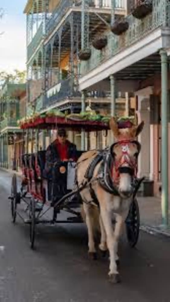 Le Bon Temps Rouler! The Complete Guide to New Orleans
