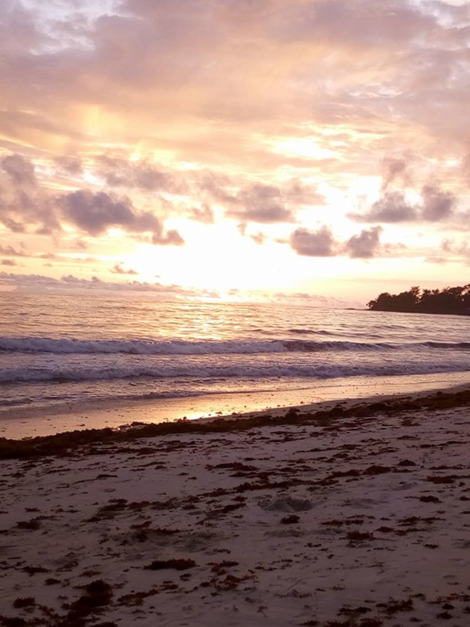 Discover Sierra Leone: A 7-Day Itinerary of Culture, Nature and Adventure