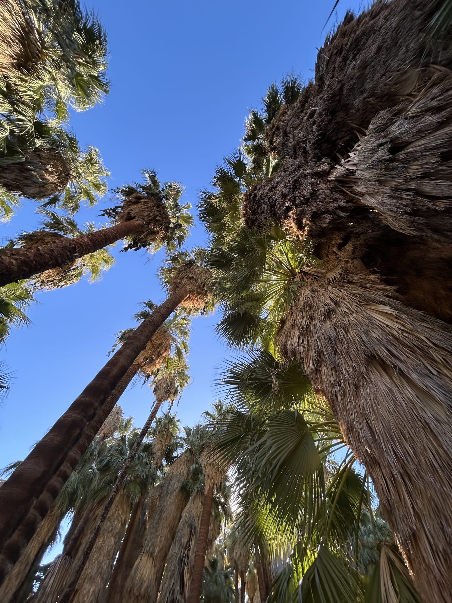 Enjoy a Winter Stay in Sunny Palm Springs, California