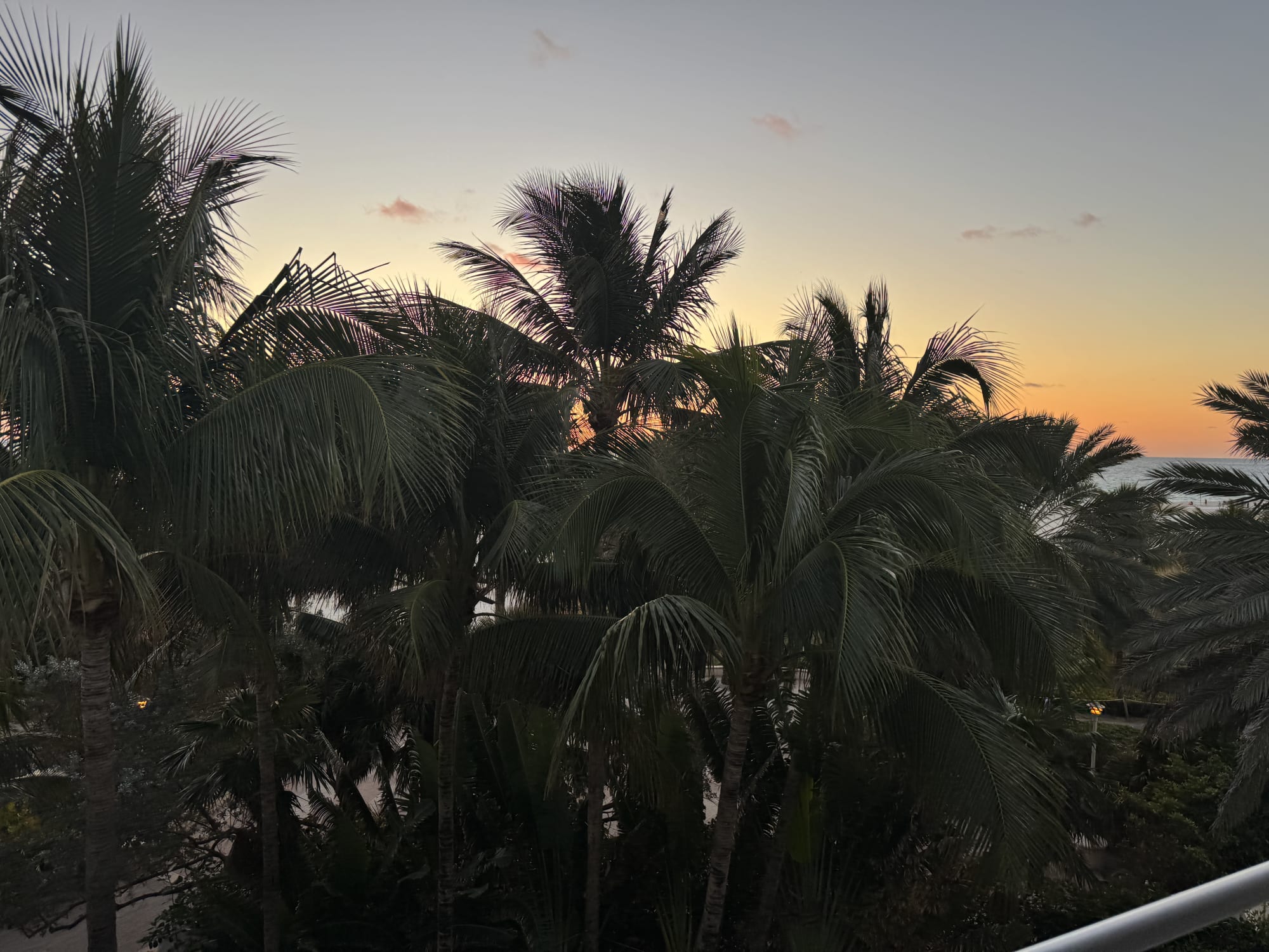 Luxury Meets Challenges: My Stay at the Ritz-Carlton South Beach