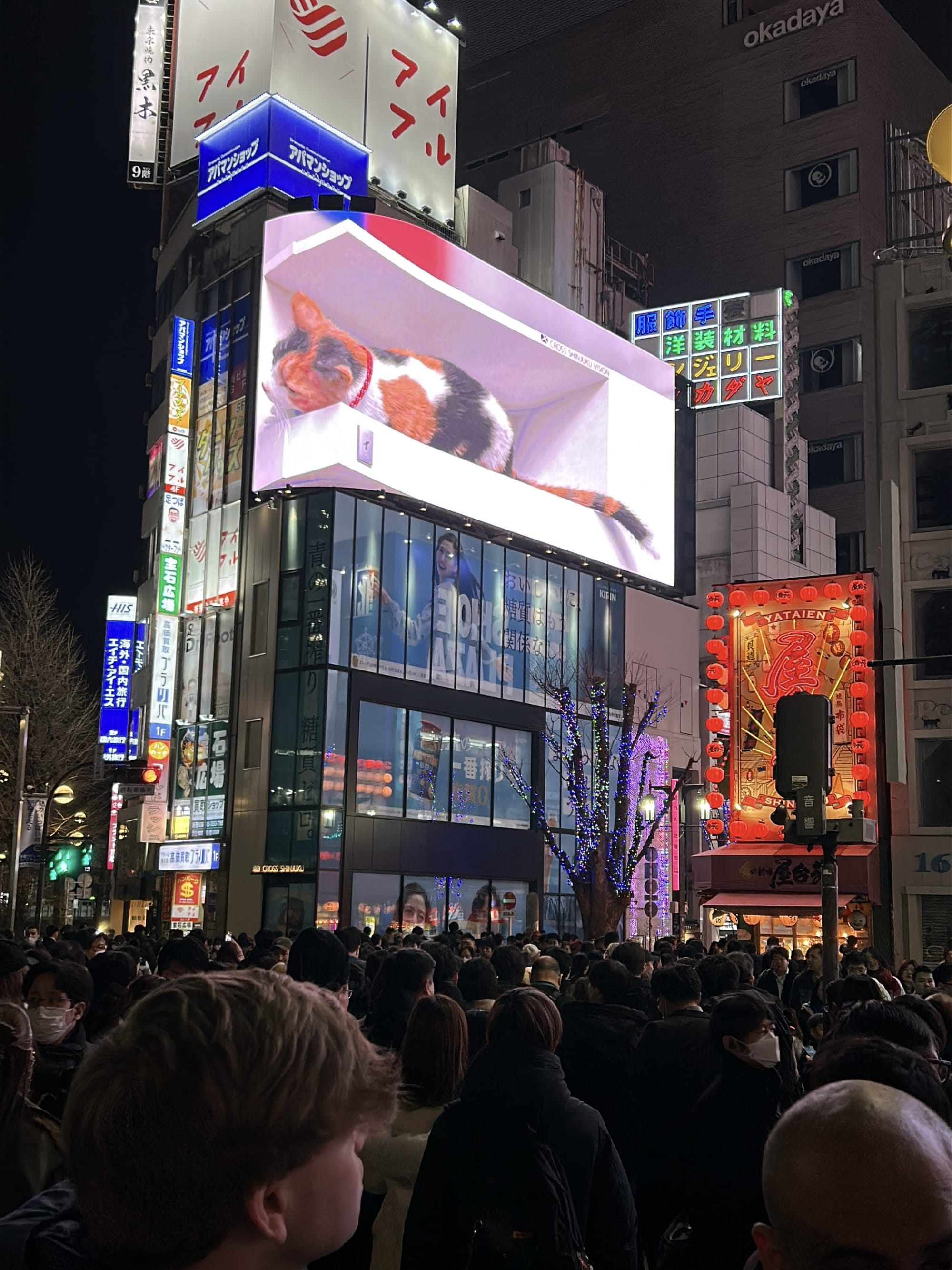 Japan: Popular Spots and Hidden Gems