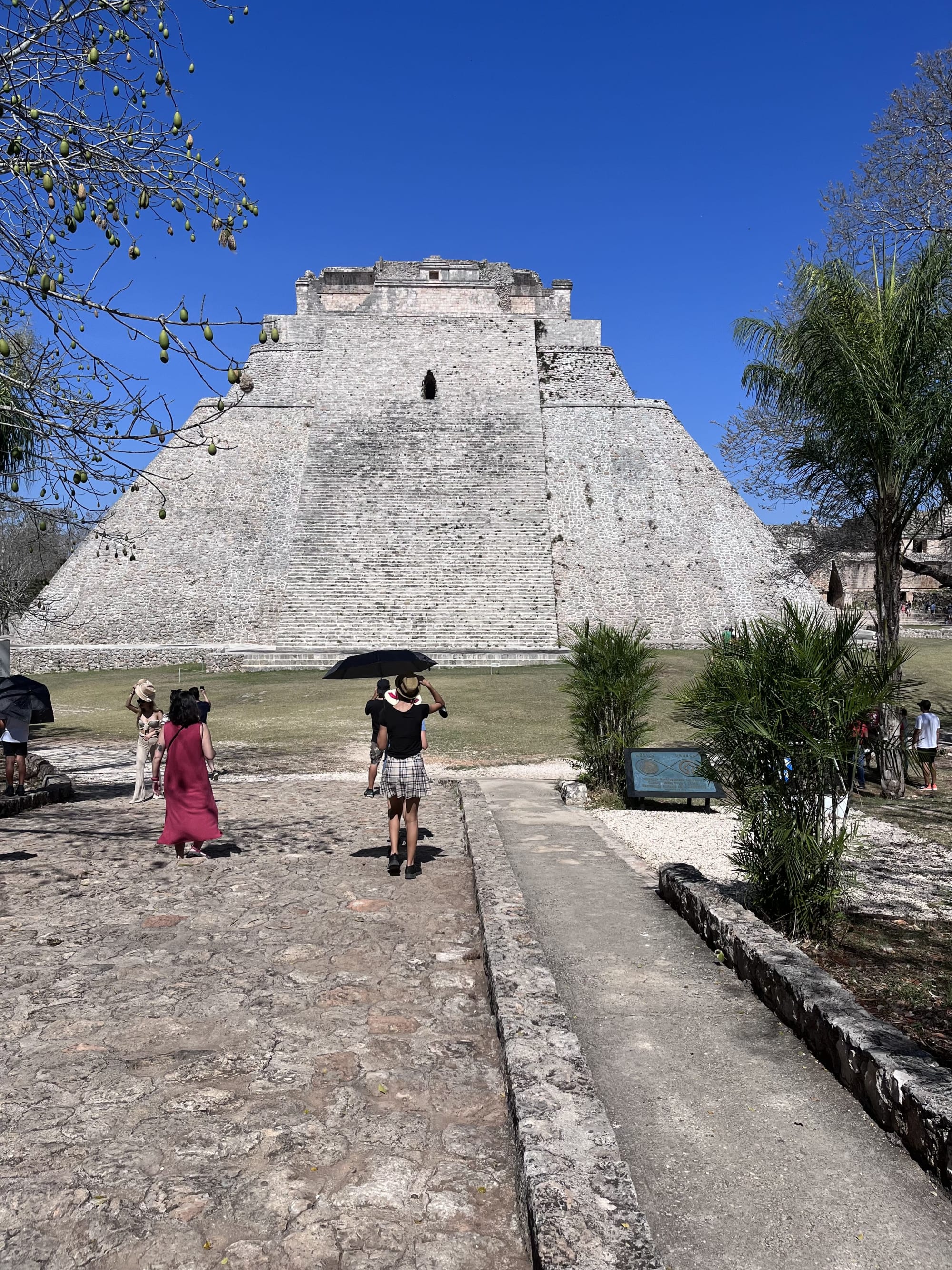 7-Days of Charm: Escape to Mérida, Mexico