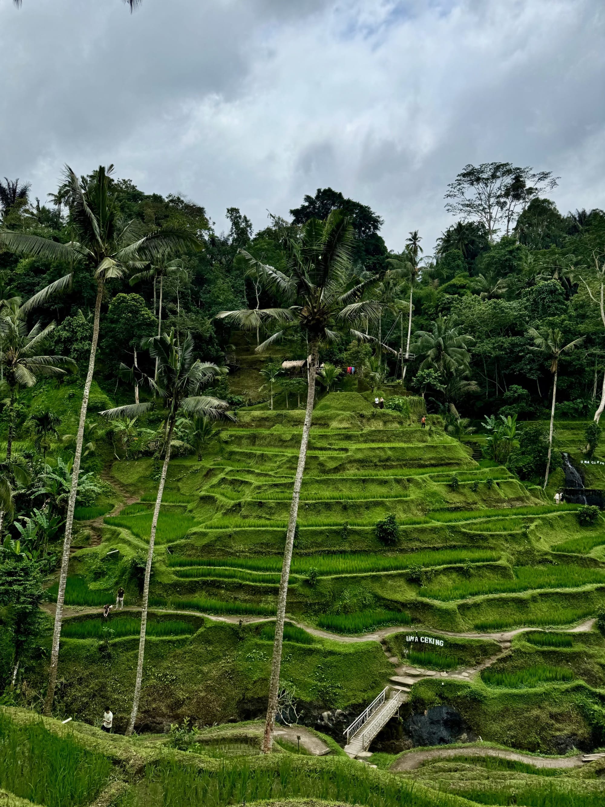 Three Days in Ubud, Bali