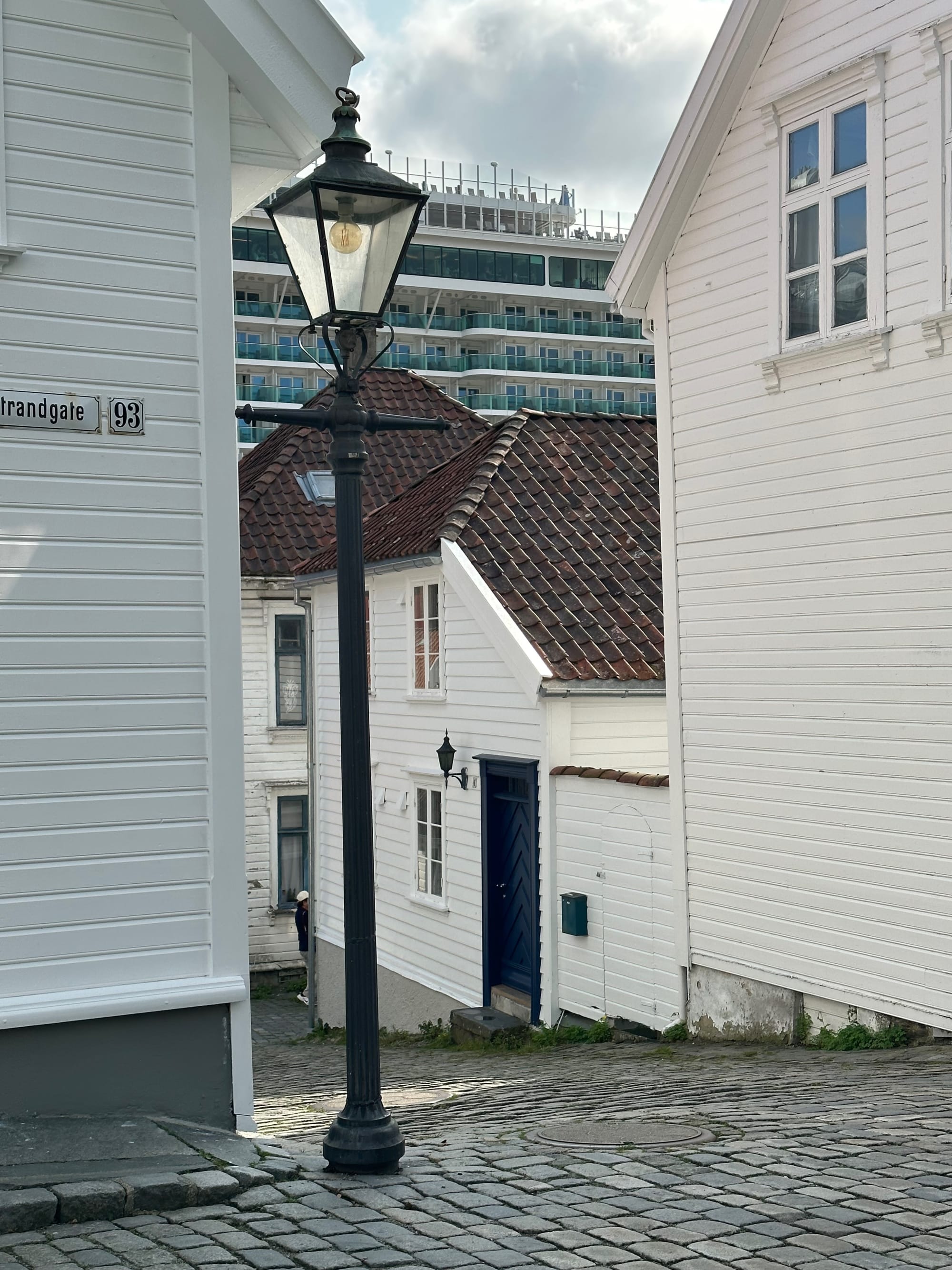 Accessible Cruise Ports in the Norwegian Fjords: A Guide for Travelers ...