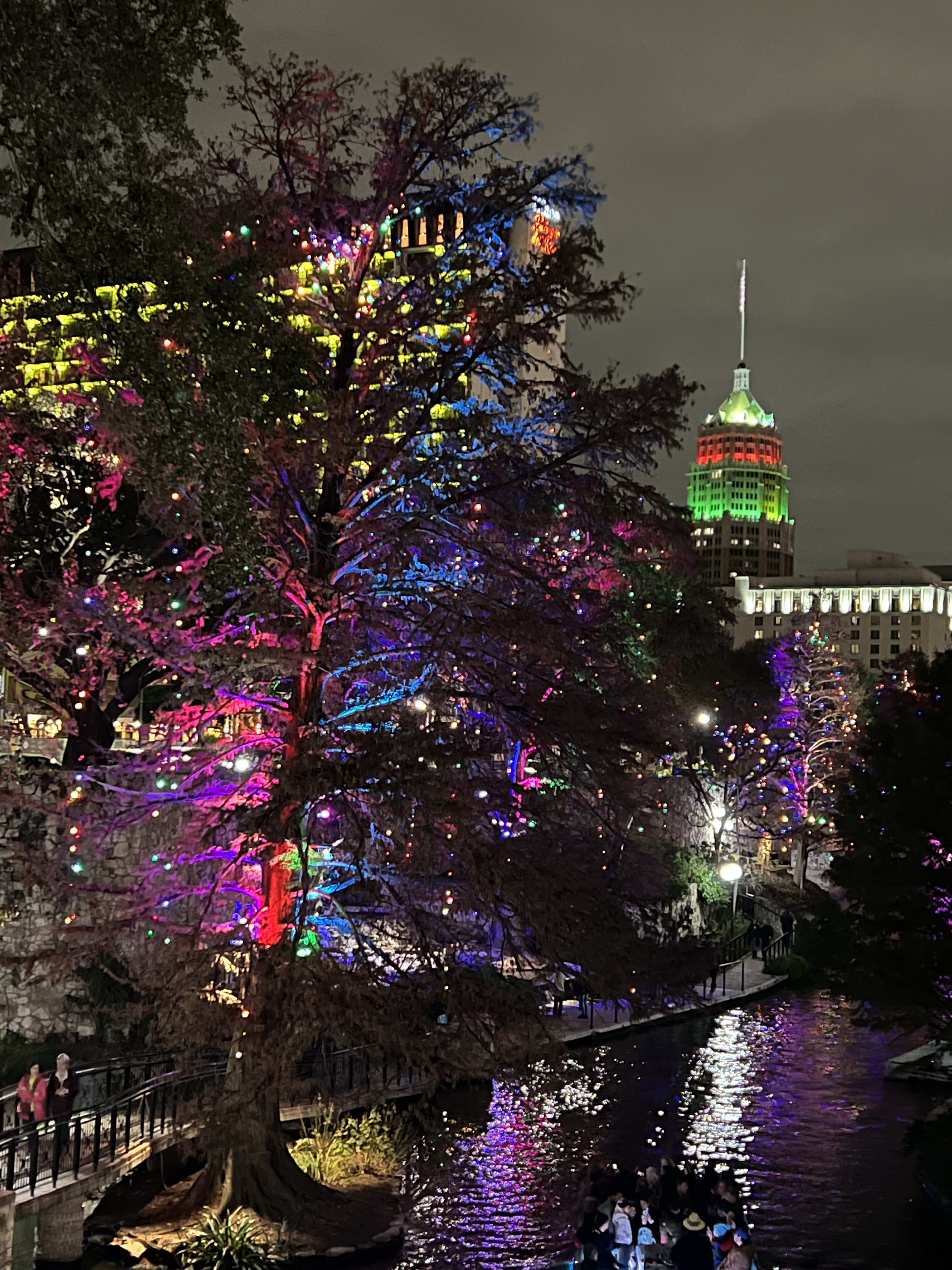 Louise Pisano | Fora Travel