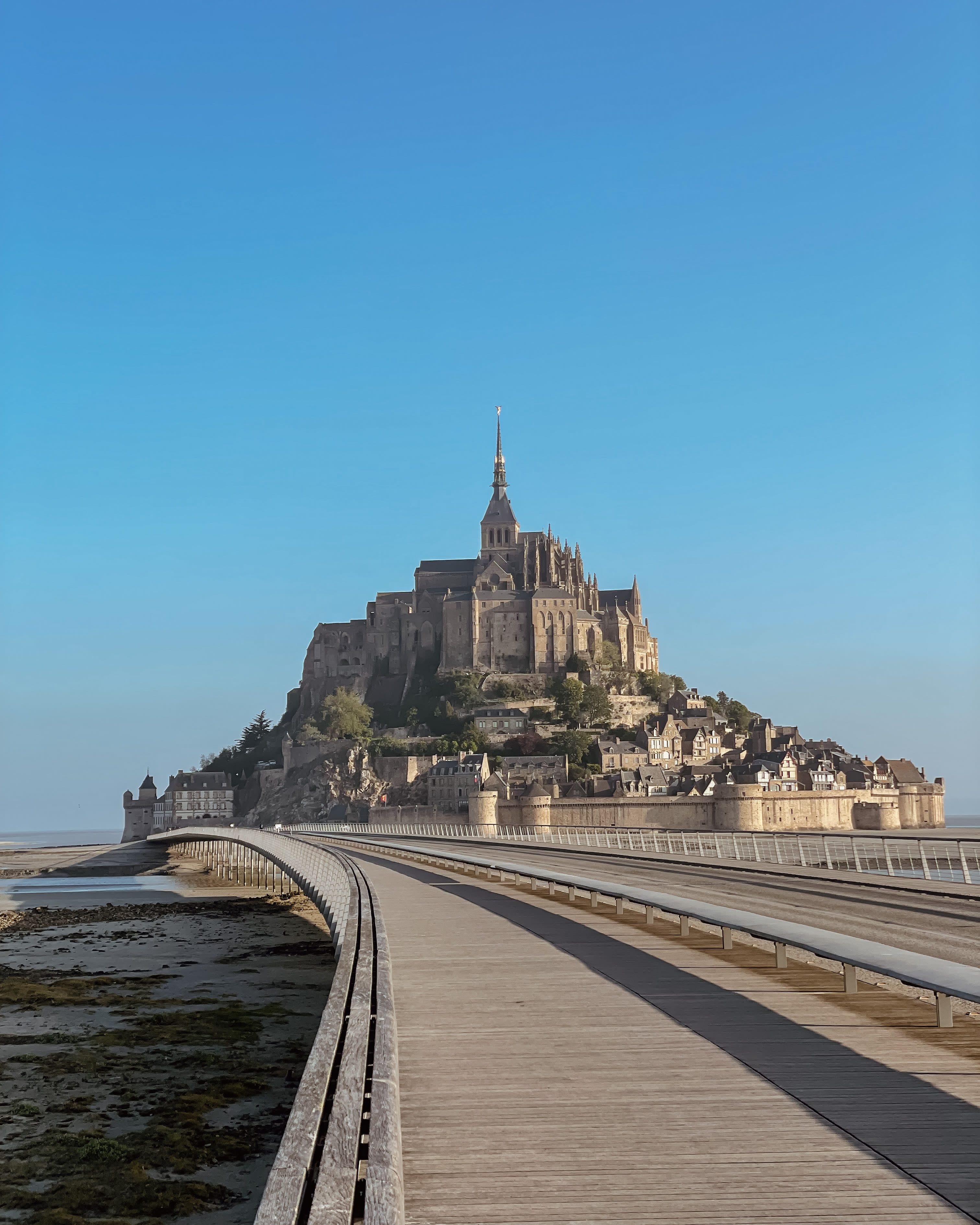 Daryn Schwartz | Fora Travel