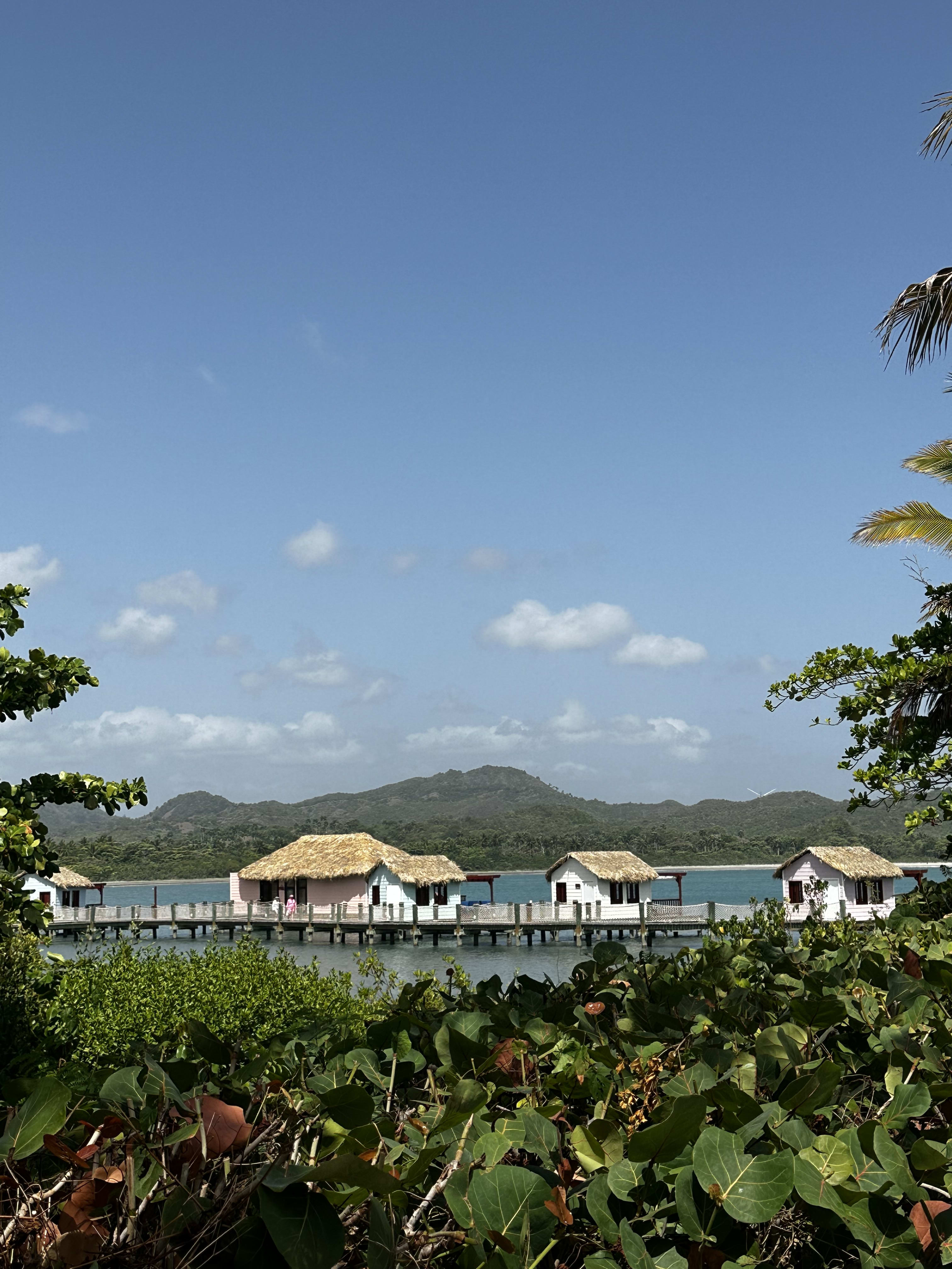 Matthew London | Fora Travel