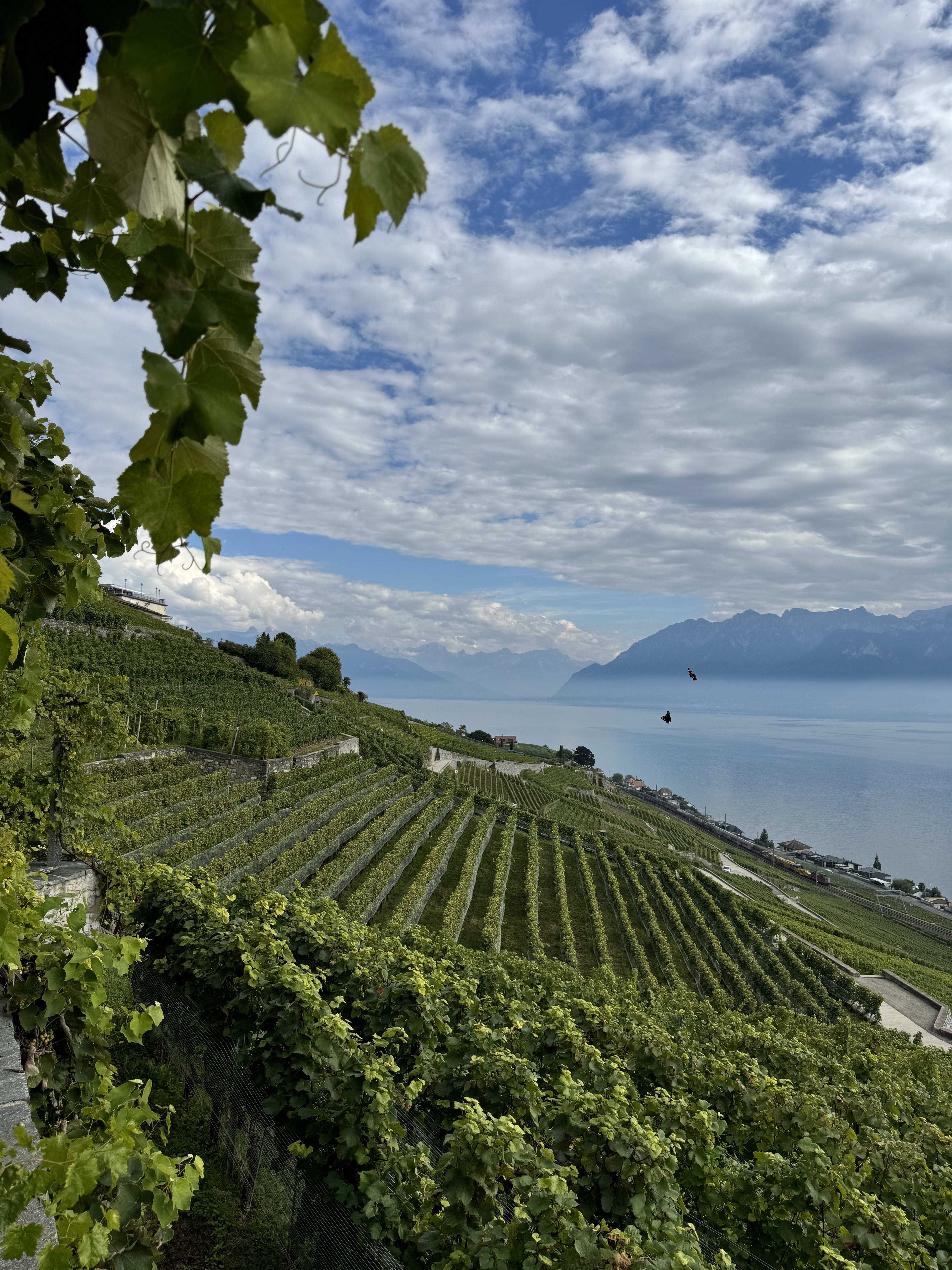 Settle into the Swiss Riviera: Insider's Guide to Summer on Lake Geneva