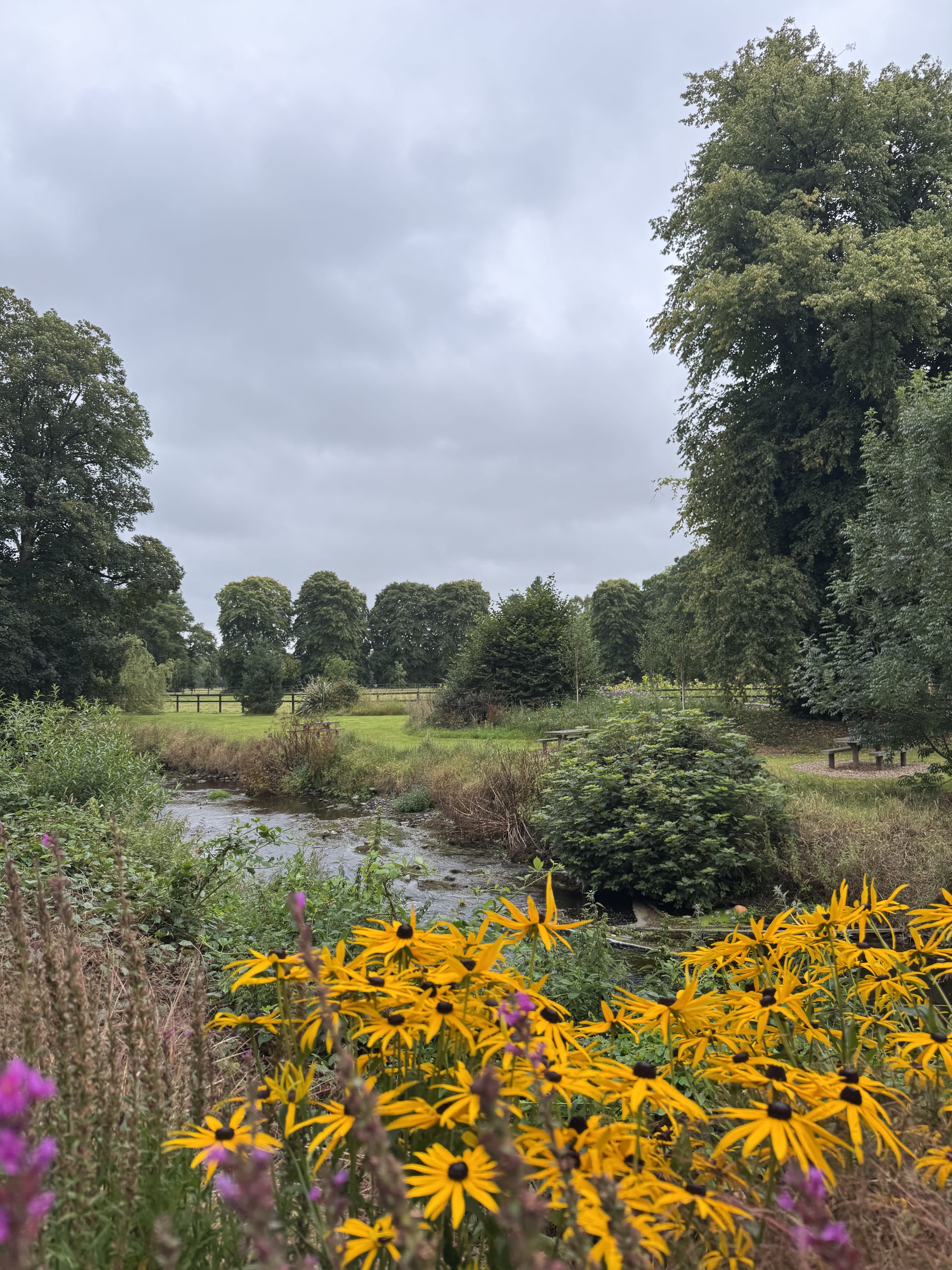 How to Spend One Day in Cork