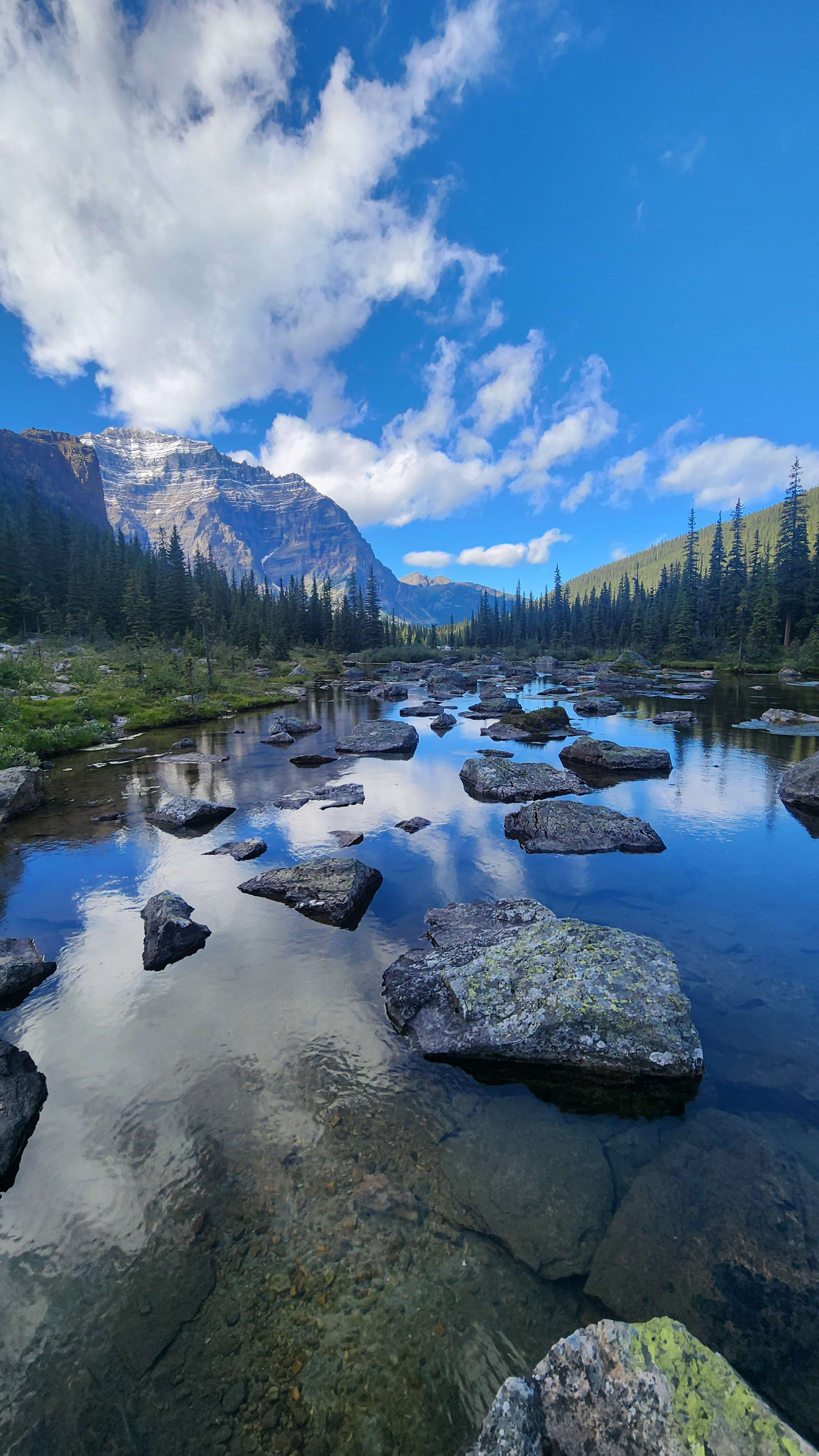 Discover Banff's Beauty: A 5-Day Hiking and Sightseeing Tour