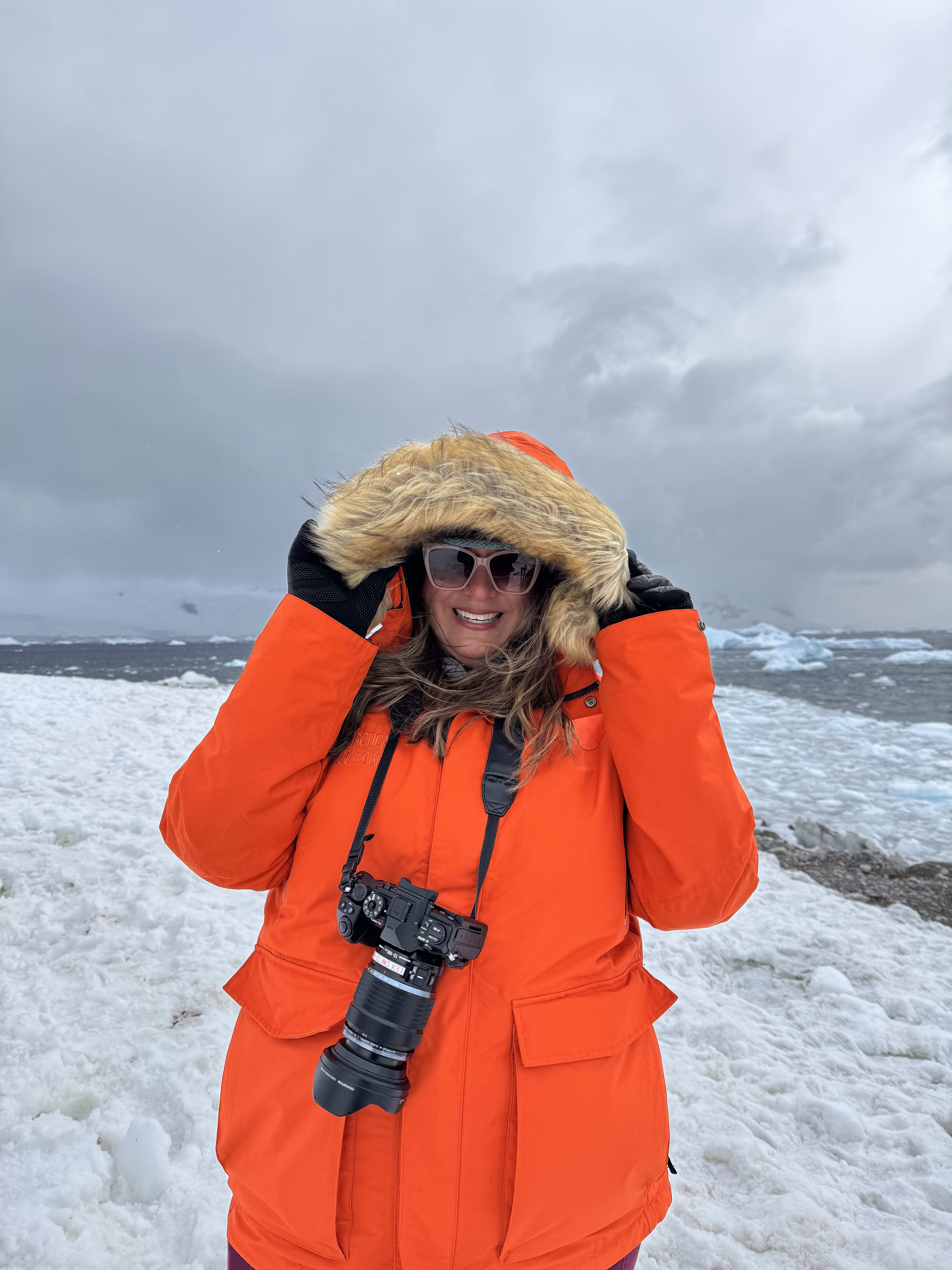 Cruising to Antarctica