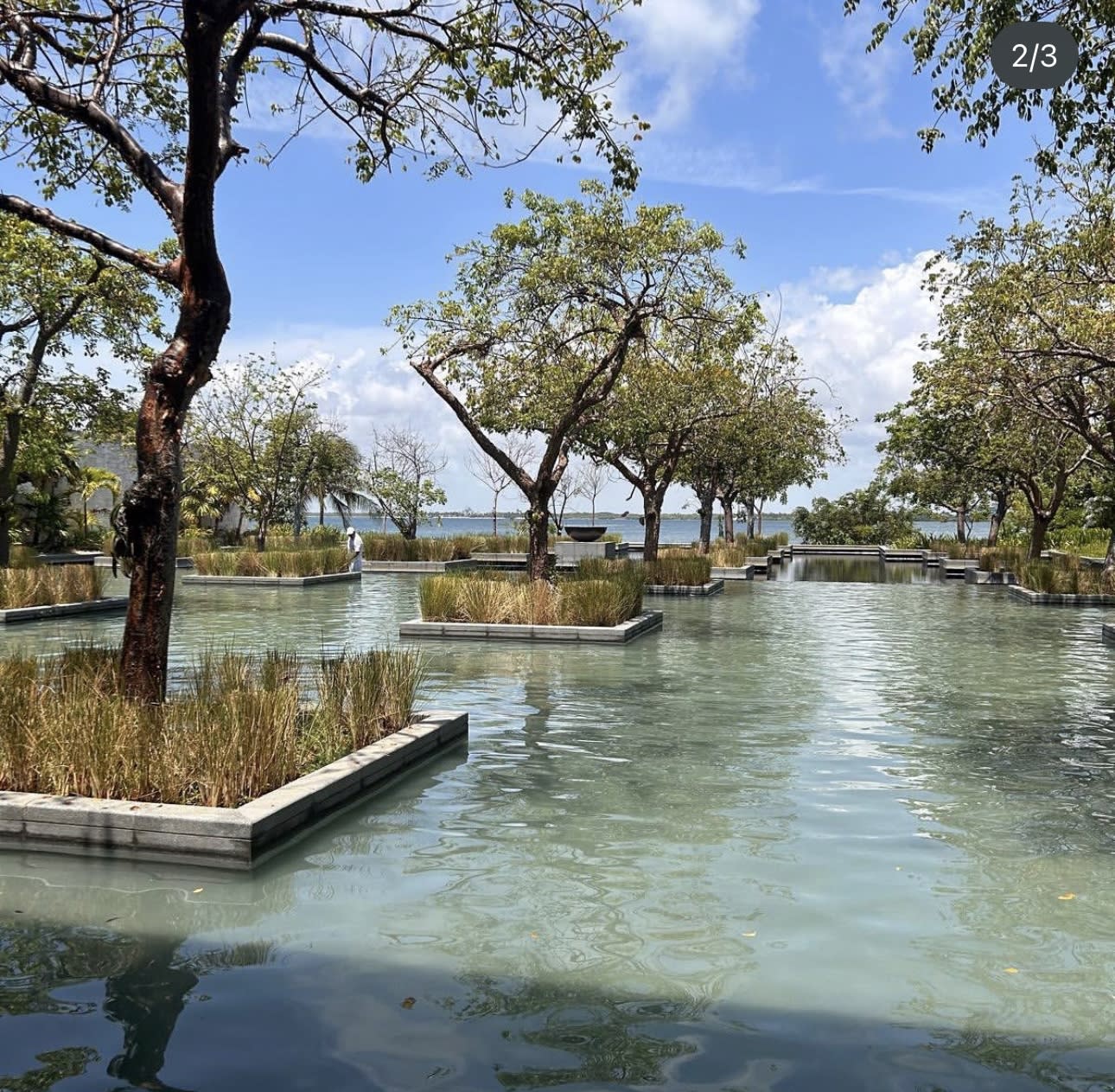 Amanda Cohen | Fora Travel