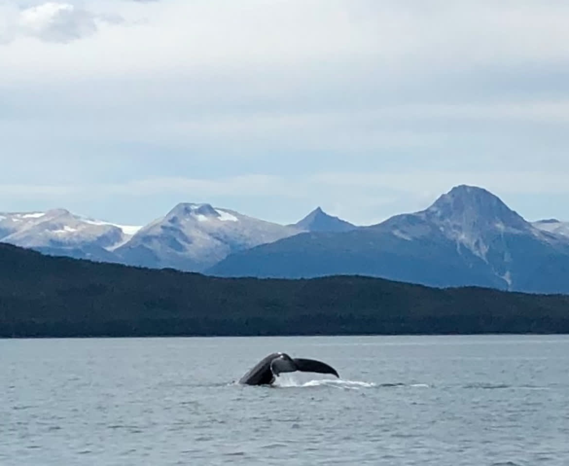 The Ultimate Guide To Packing for an Alaskan Cruise