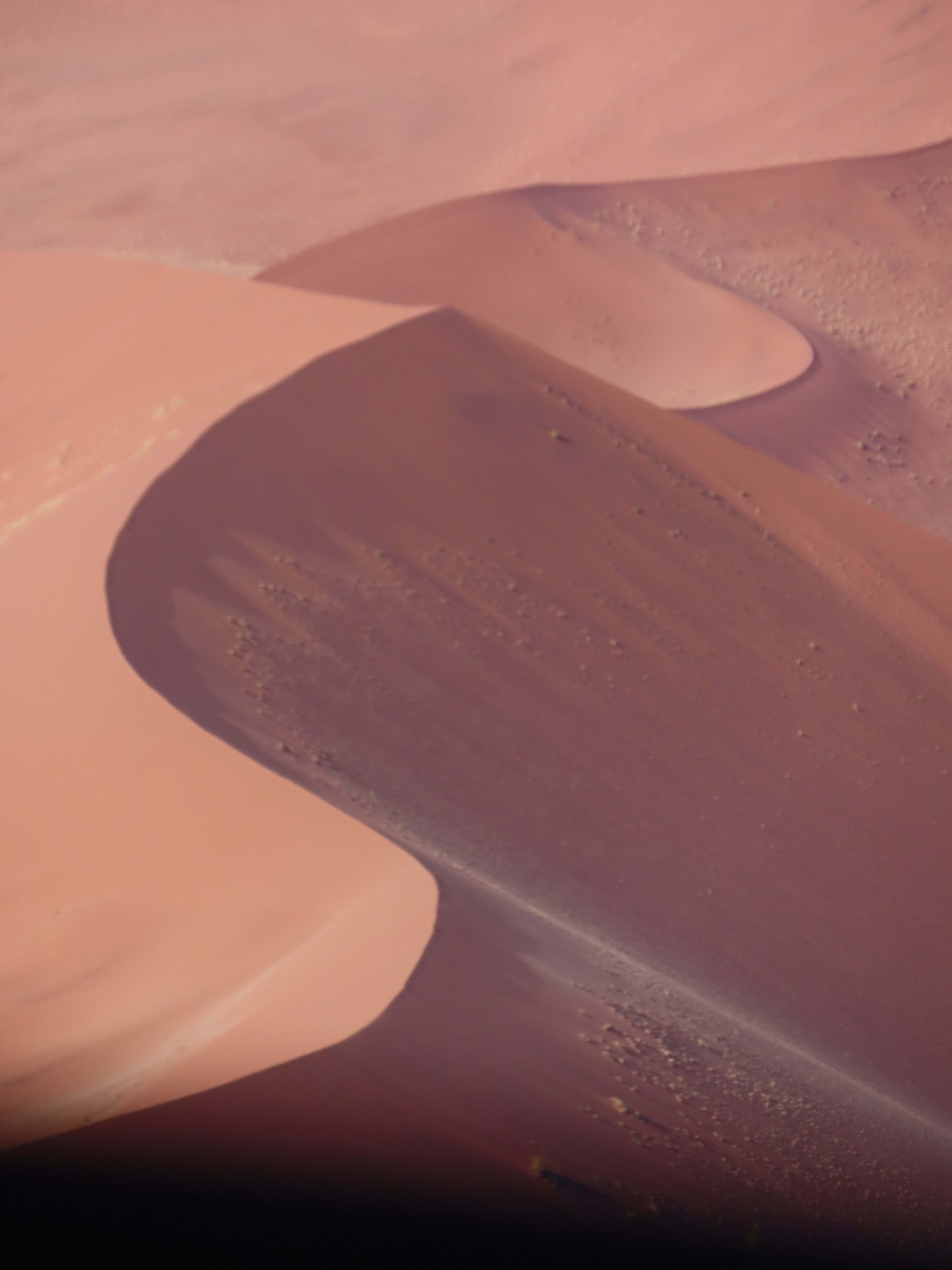 Into the Wild: 12 Days of Namibia Discovery