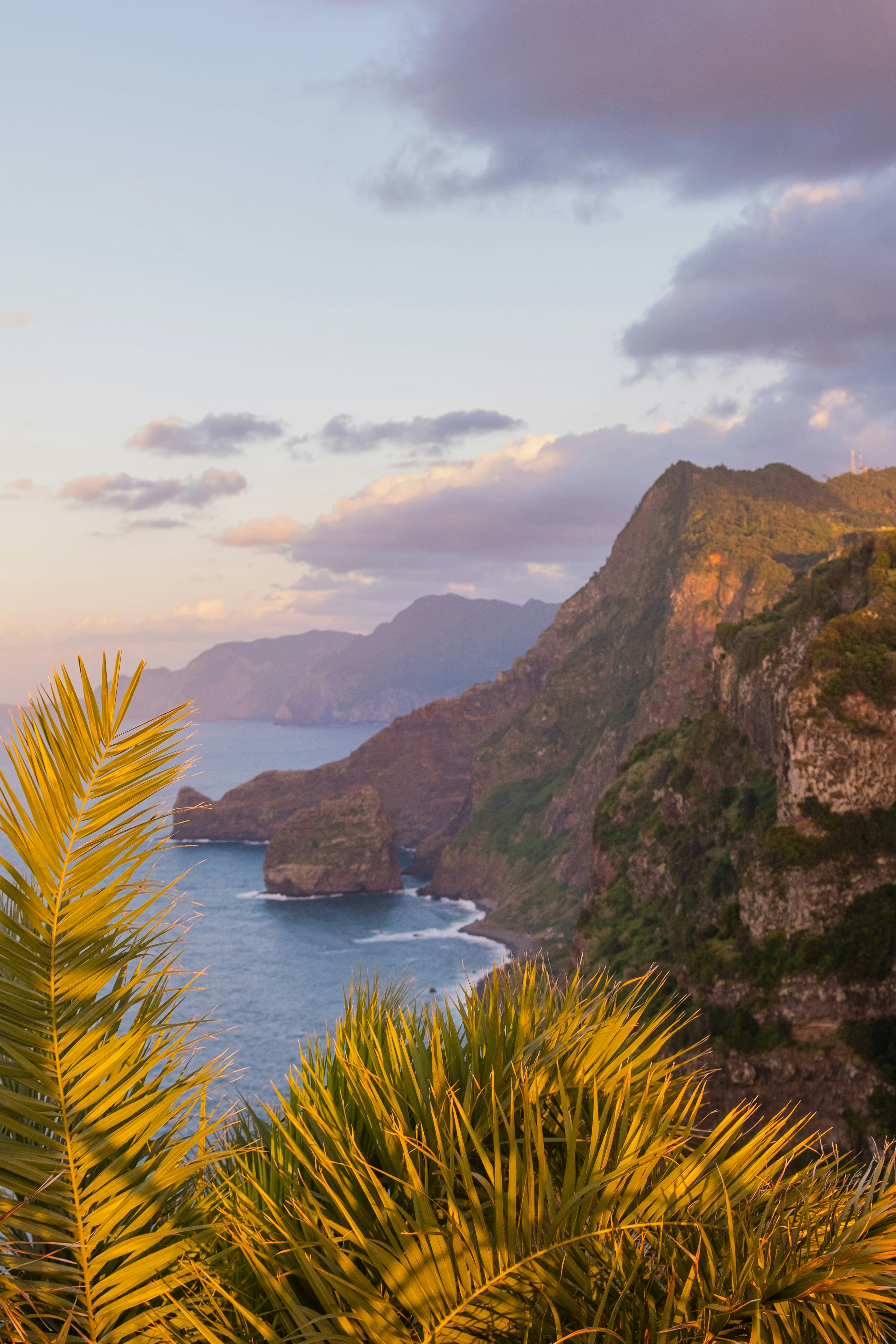 Madeira Magic: A Luxe Stay at Hotel Riu Madeira