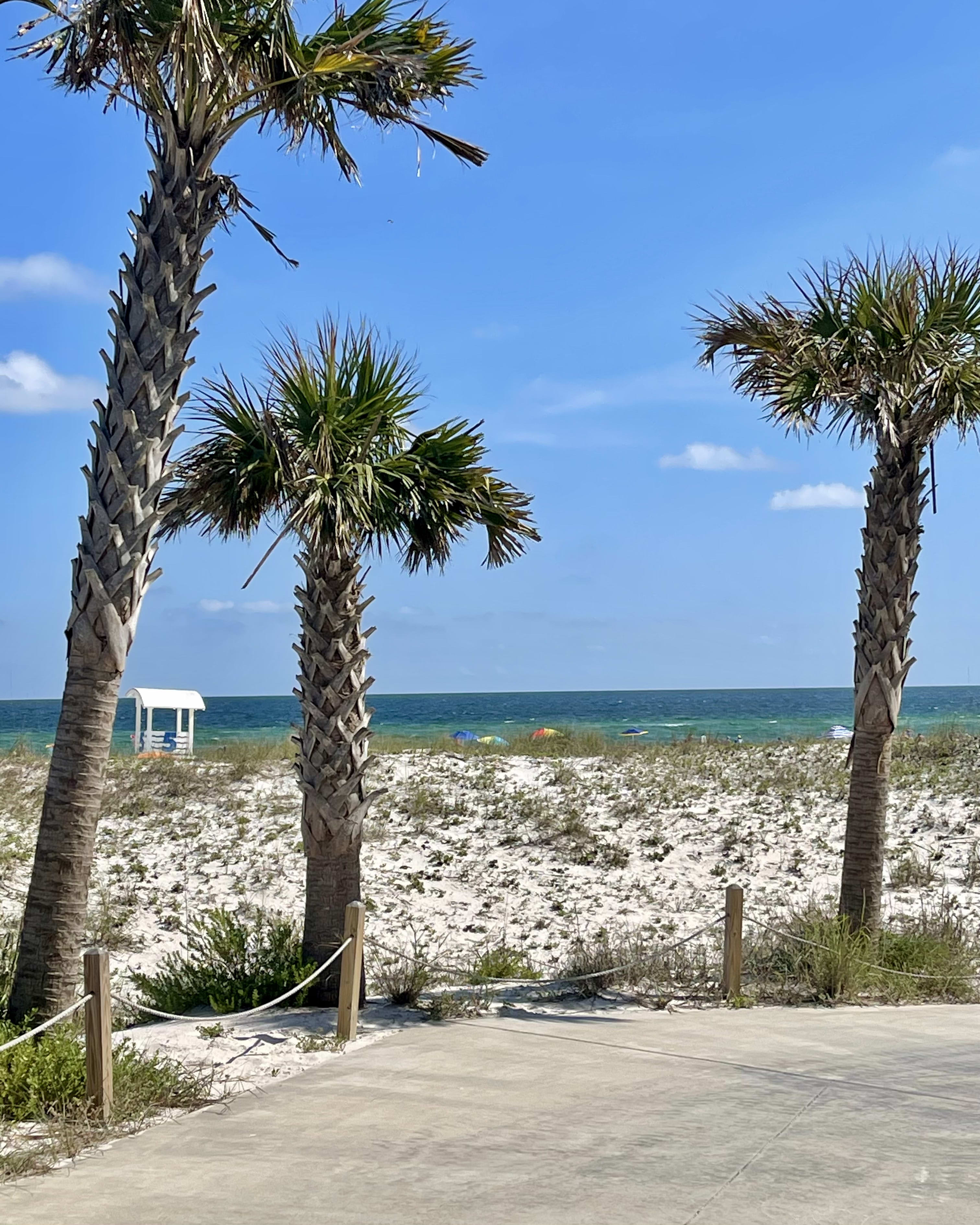The Ultimate Guide to Alabama's Gulf Coast