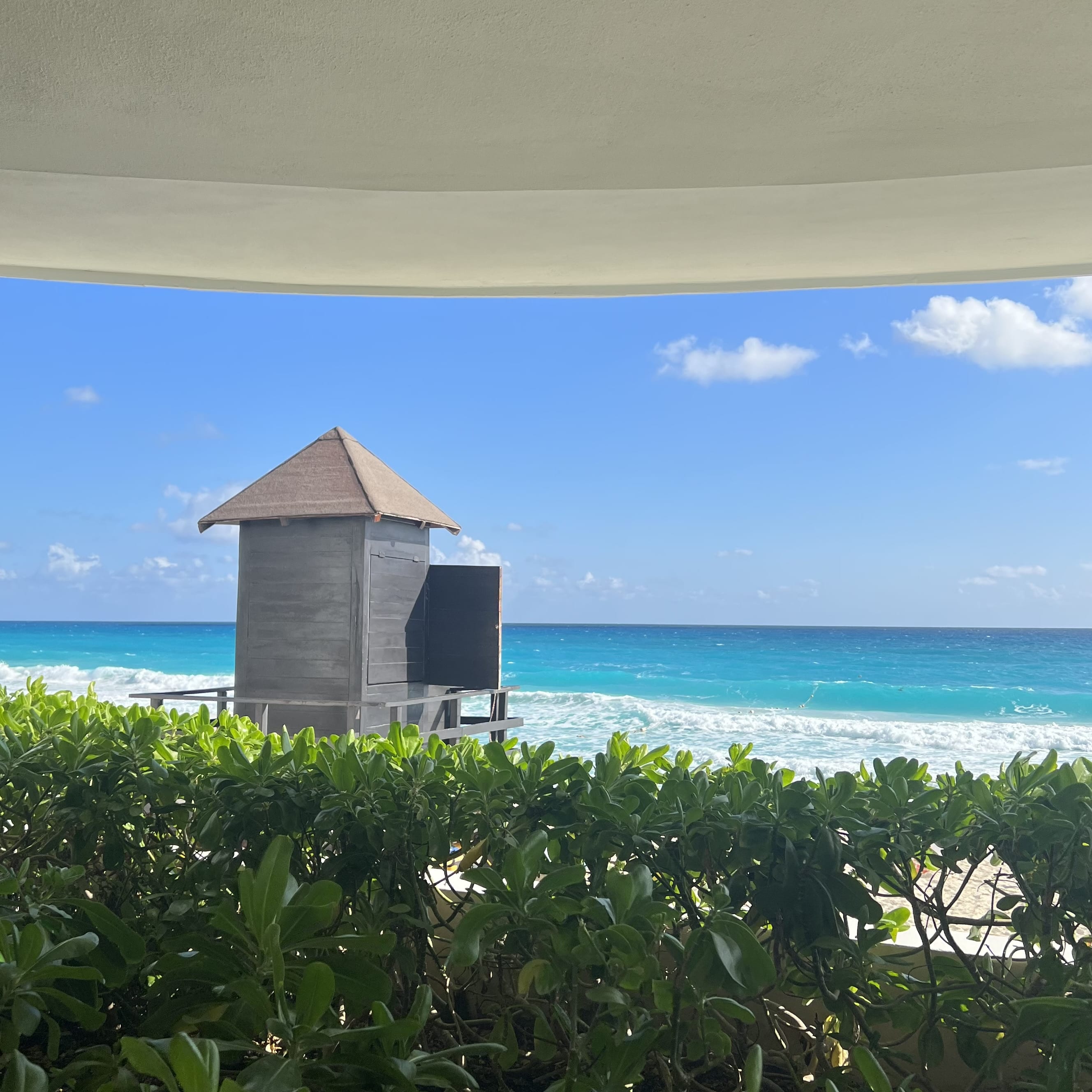 Ashley King | Fora Travel