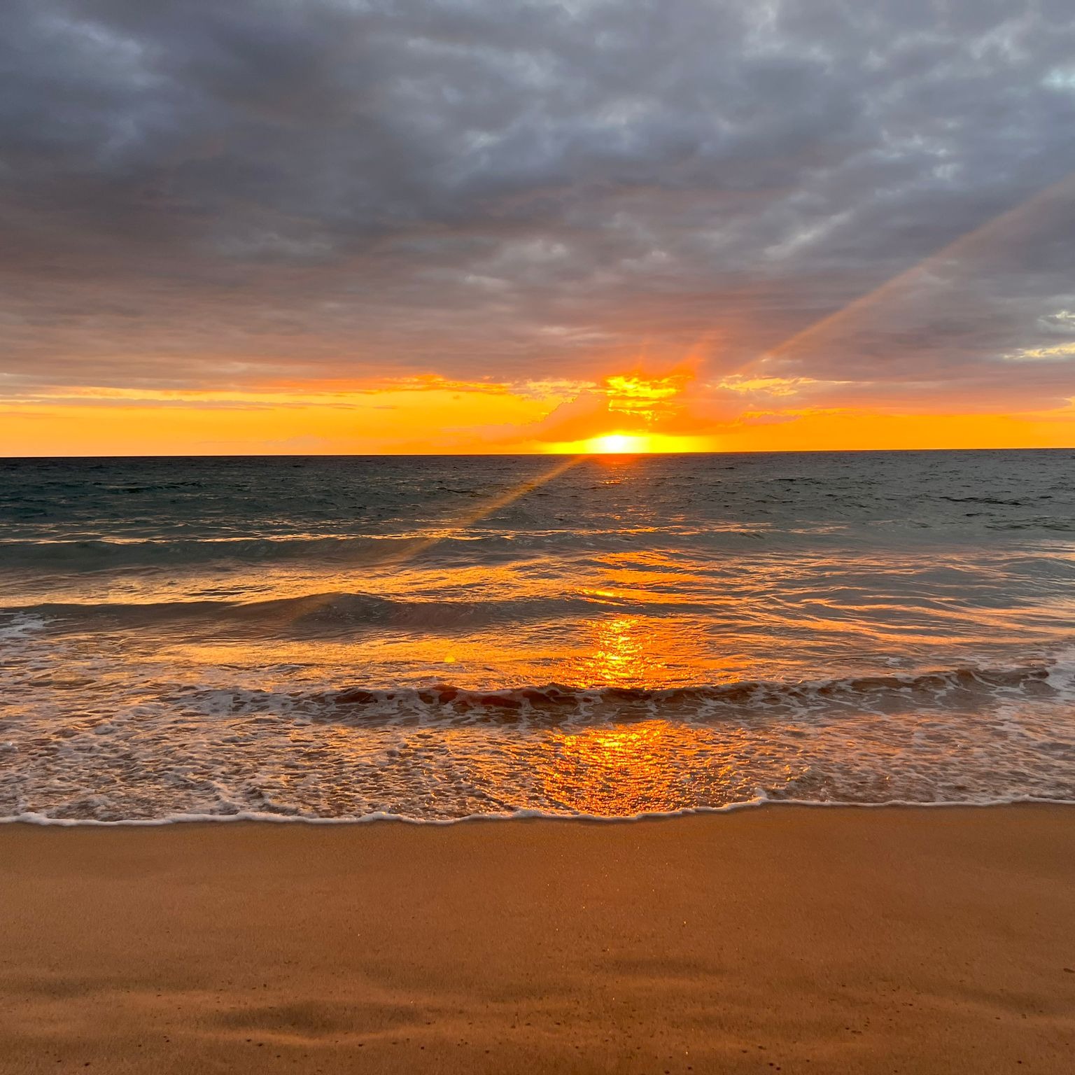 Seattle's Olympic National Park Fun: 3-Day Itinerary