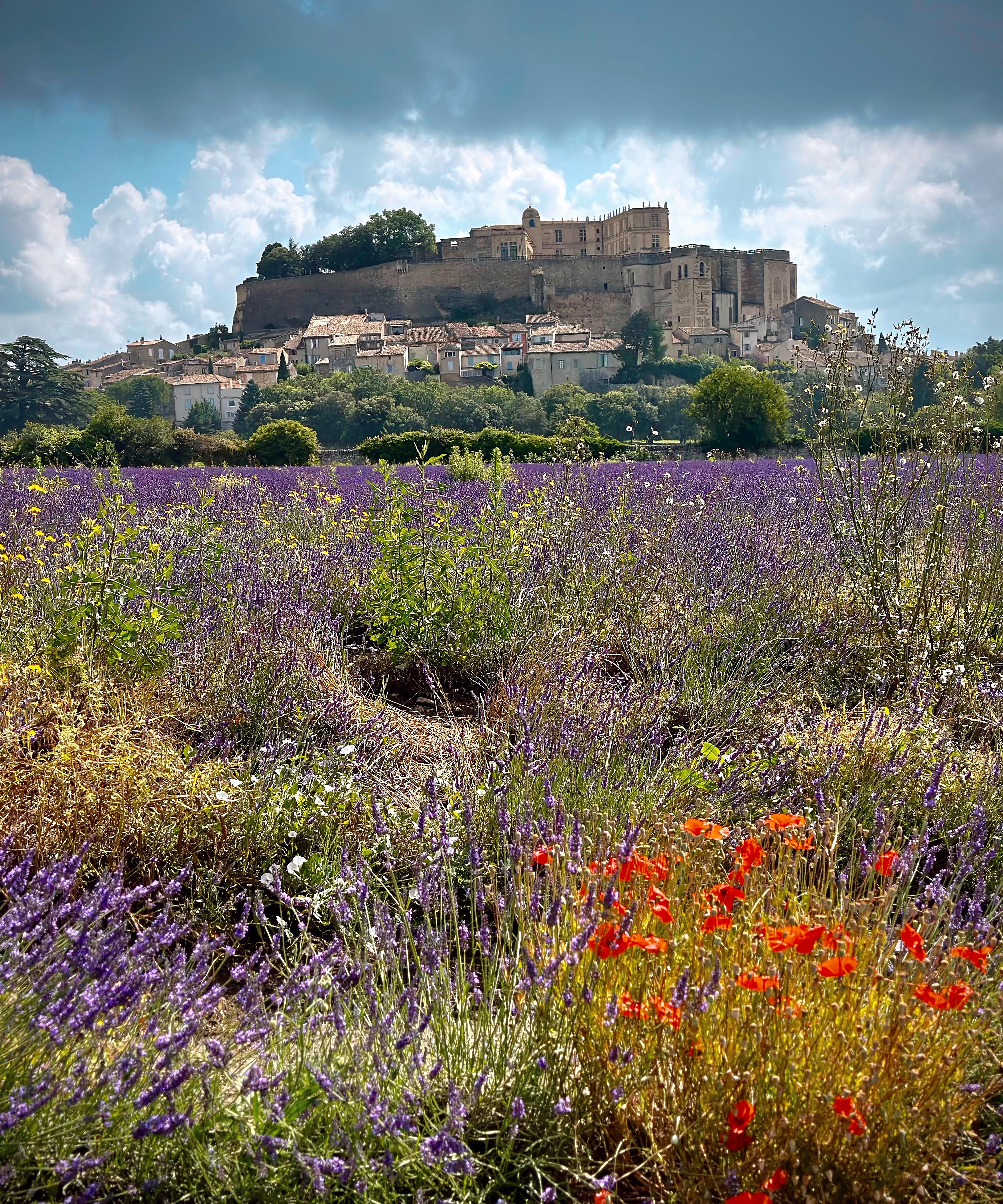 Ardèche: Your Guide to France’s Best-Kept Secret