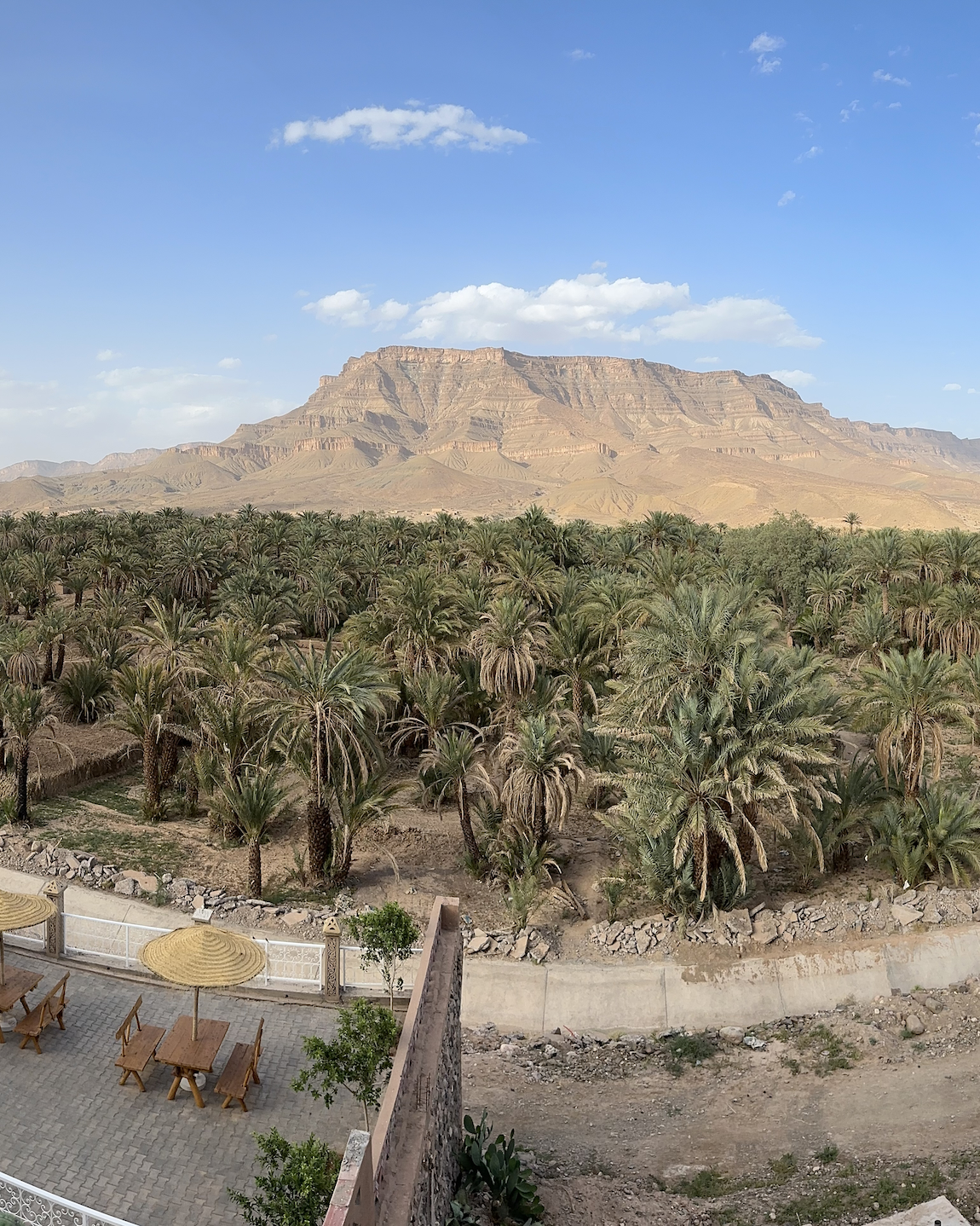 Diving into Moroccan Culture