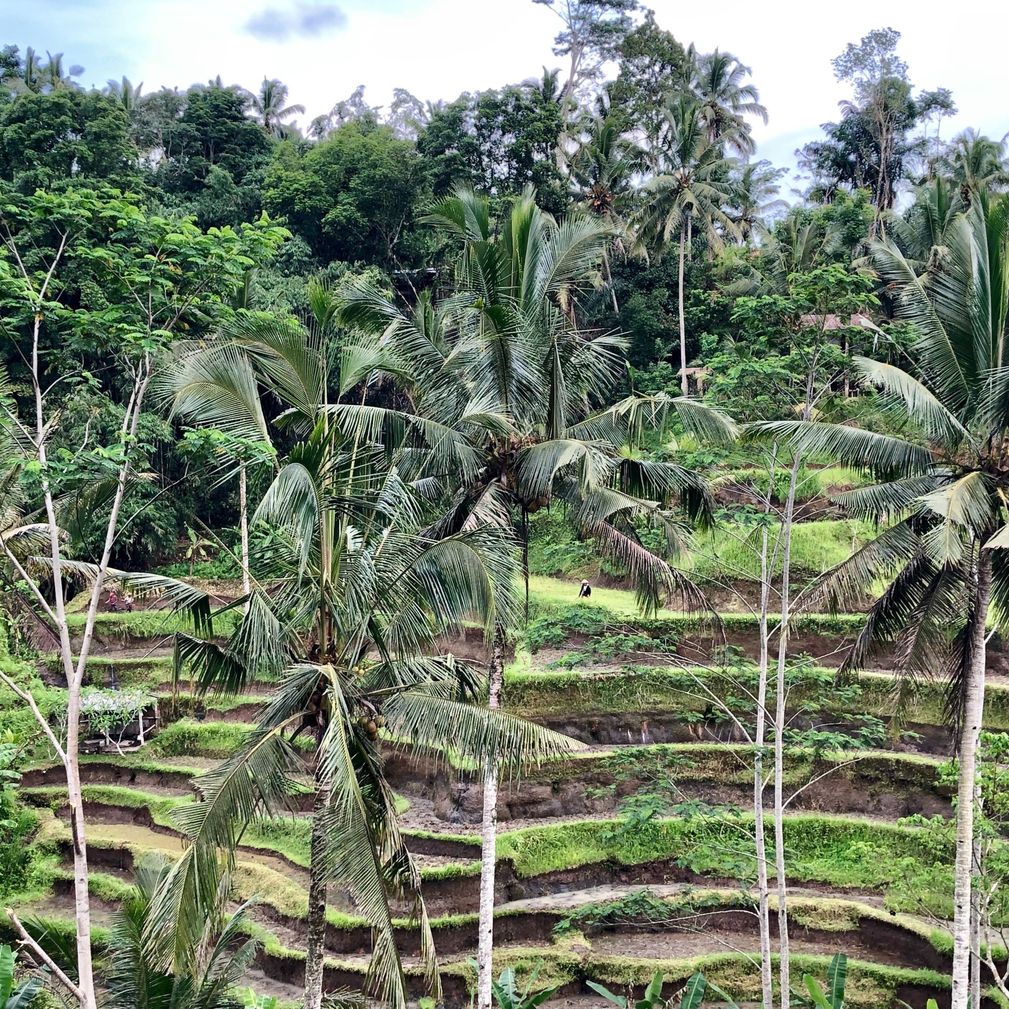 The Essential Bali Itinerary: 9 Days in Nusa Dua & Ubud
