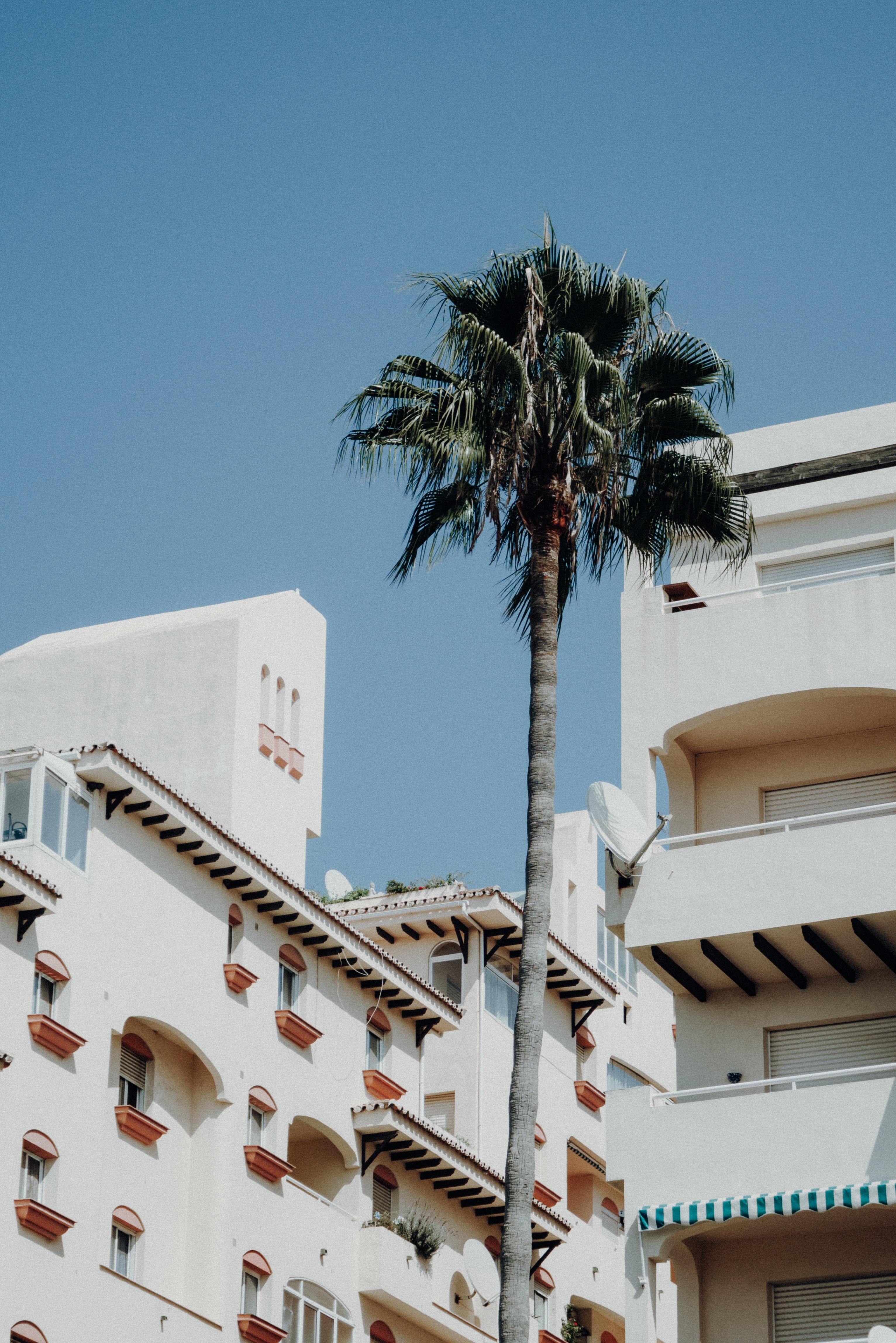 7-Day Road-Trip Across Barcelona & Southern Spain