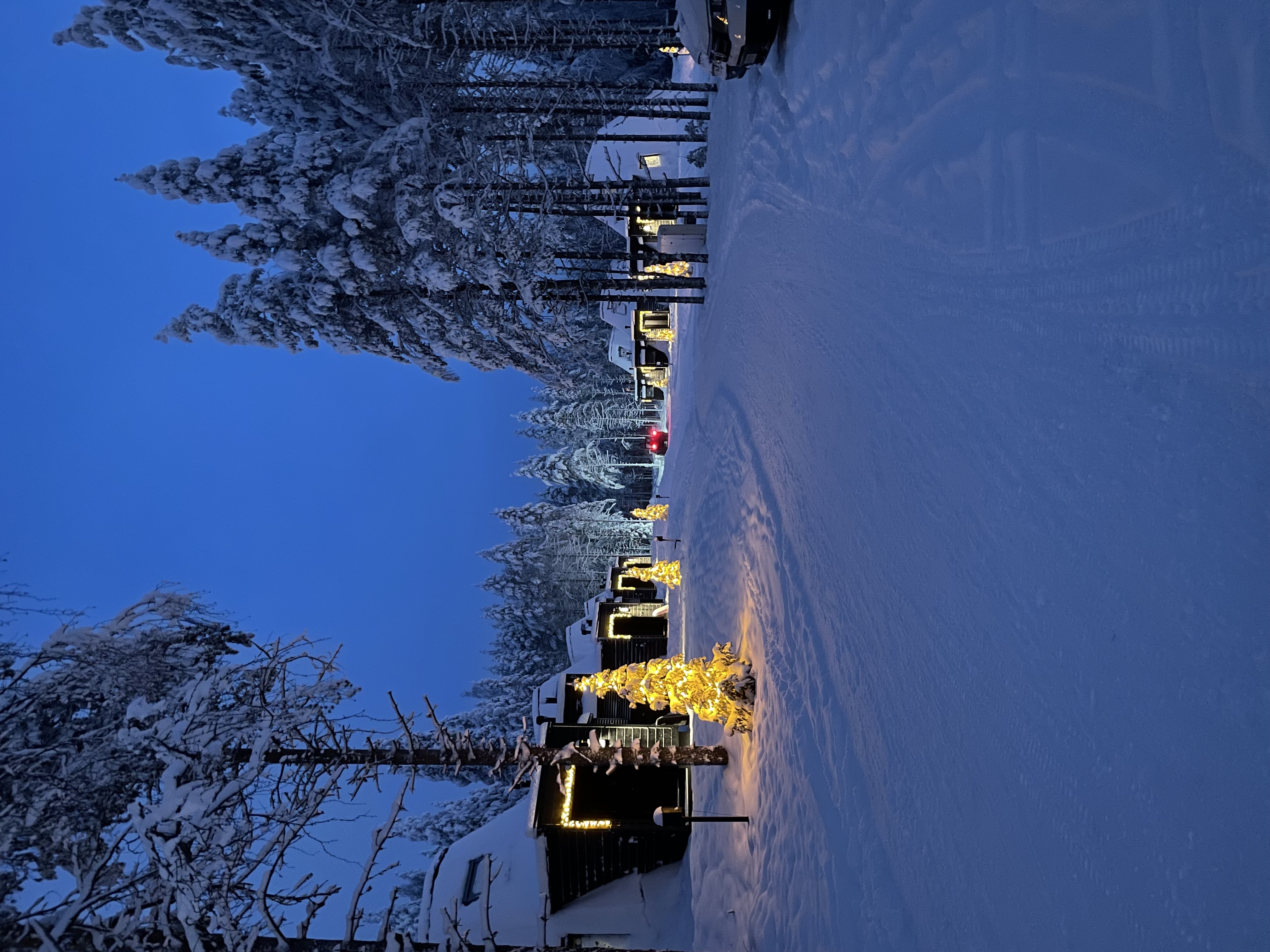 Experience the Ultimate Christmas Wonderland of Lapland