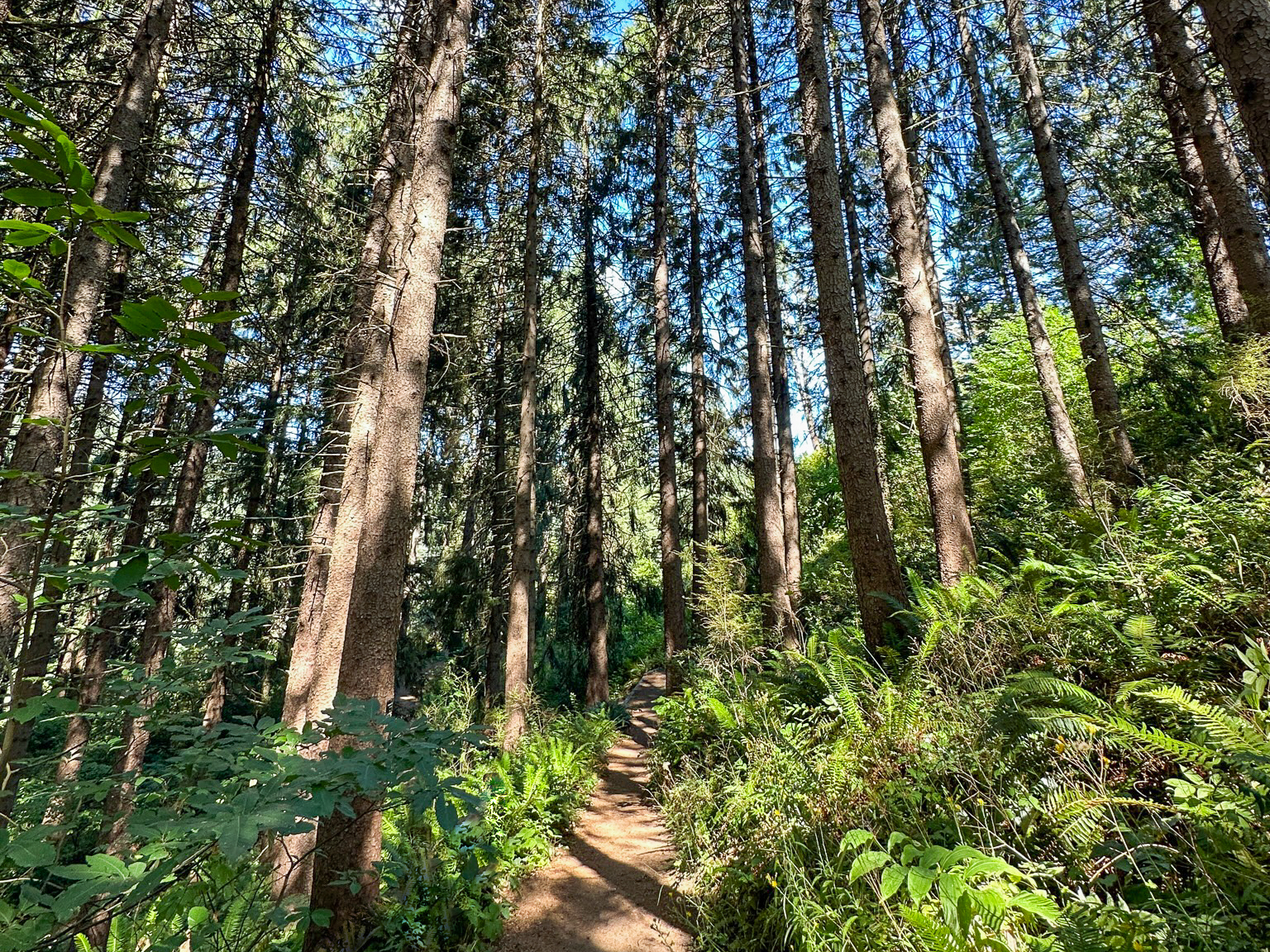 Exploring the Weird and Wild of Oregon