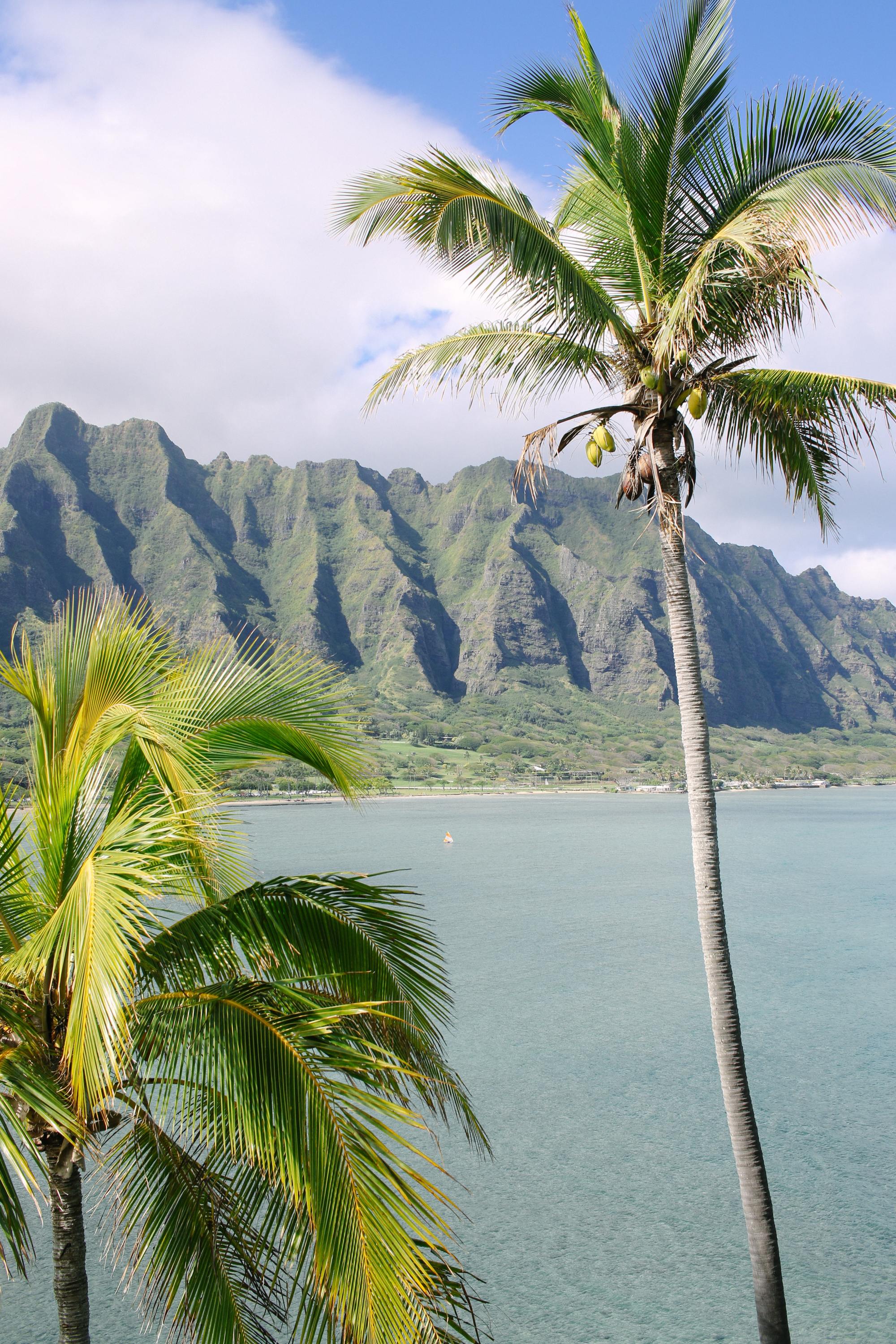 First Timer's Guide to Oahu