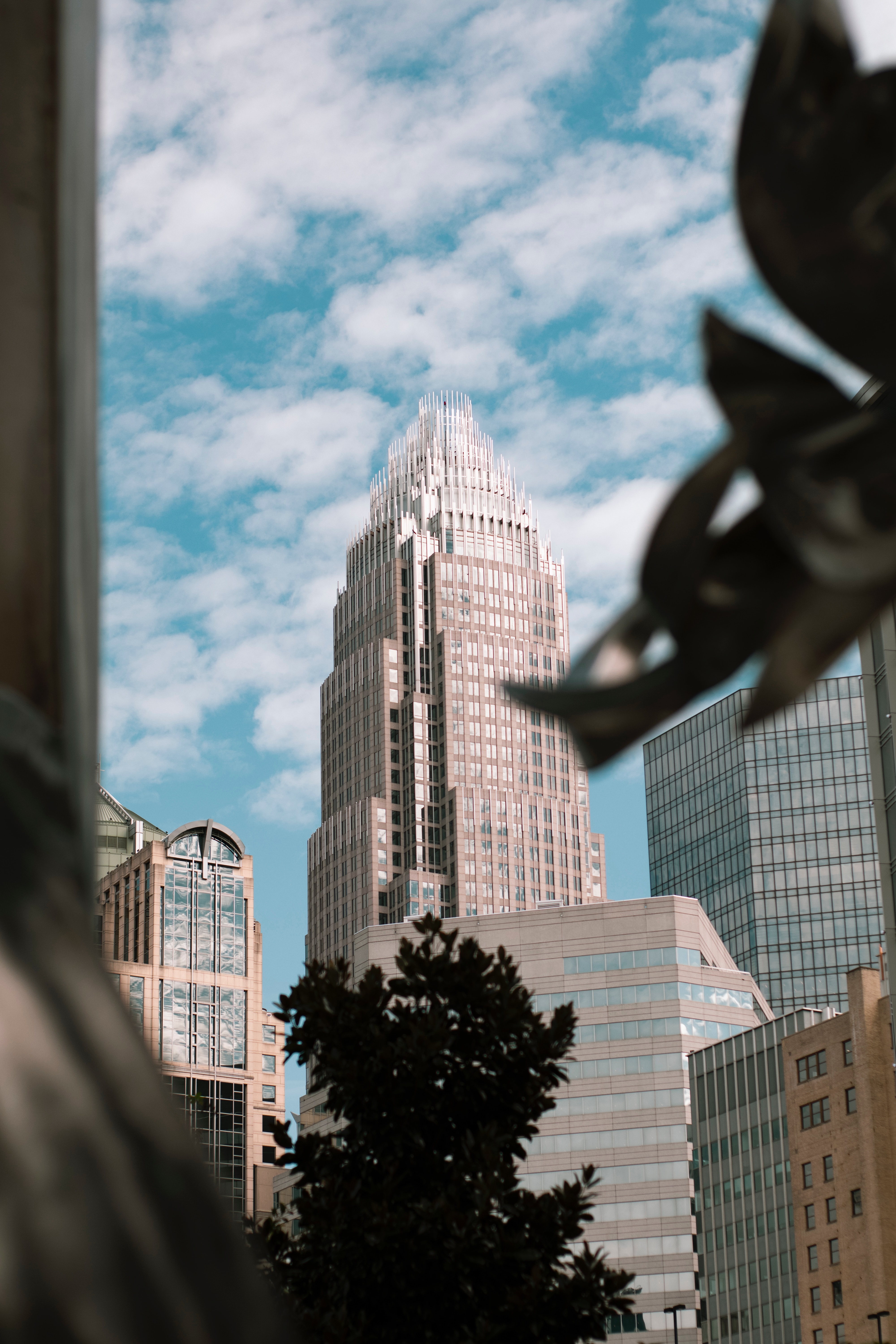 Hidden Gems In Charlotte Nc