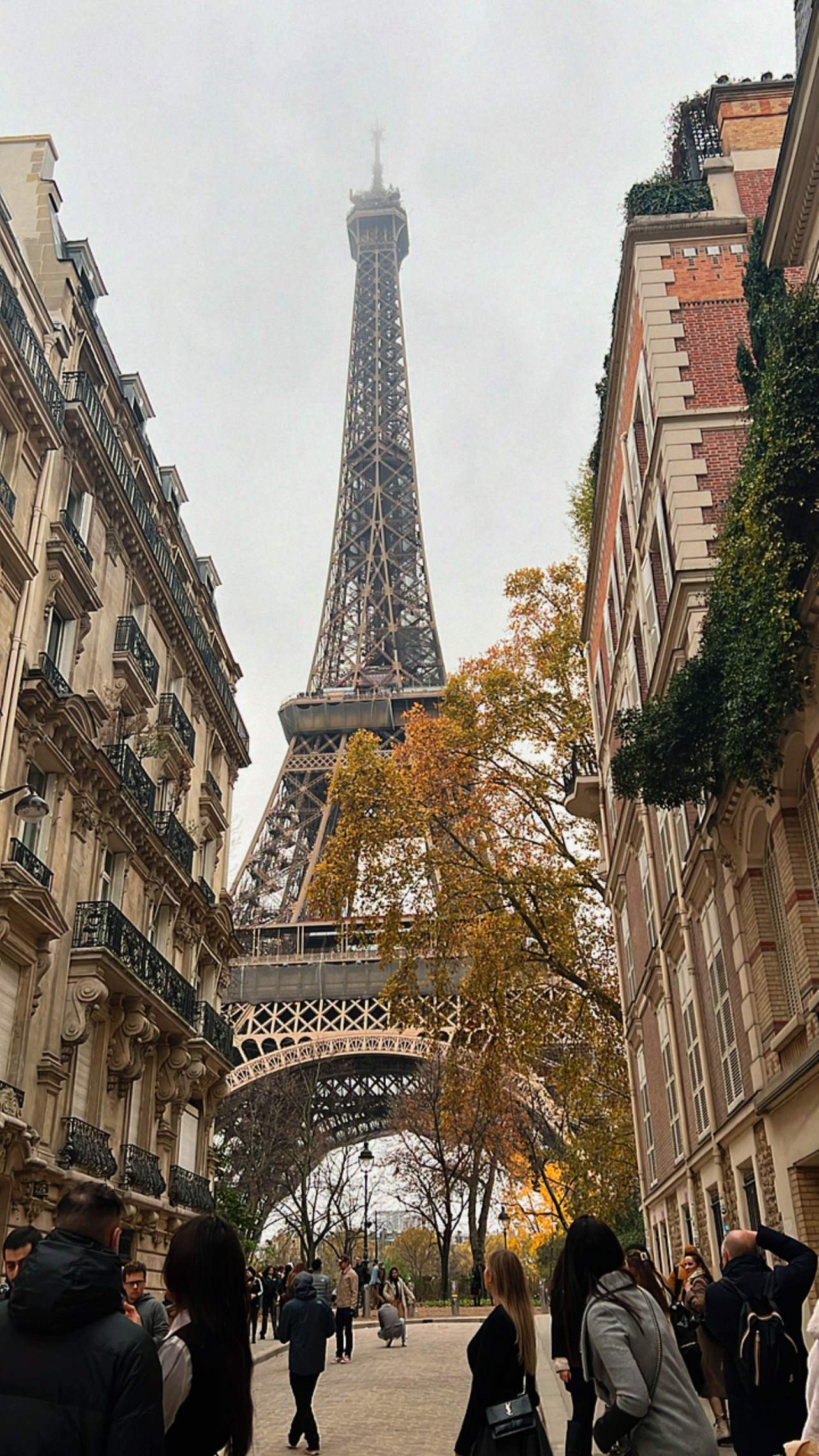 Paris in November: A 5-Day Thanksgiving Getaway