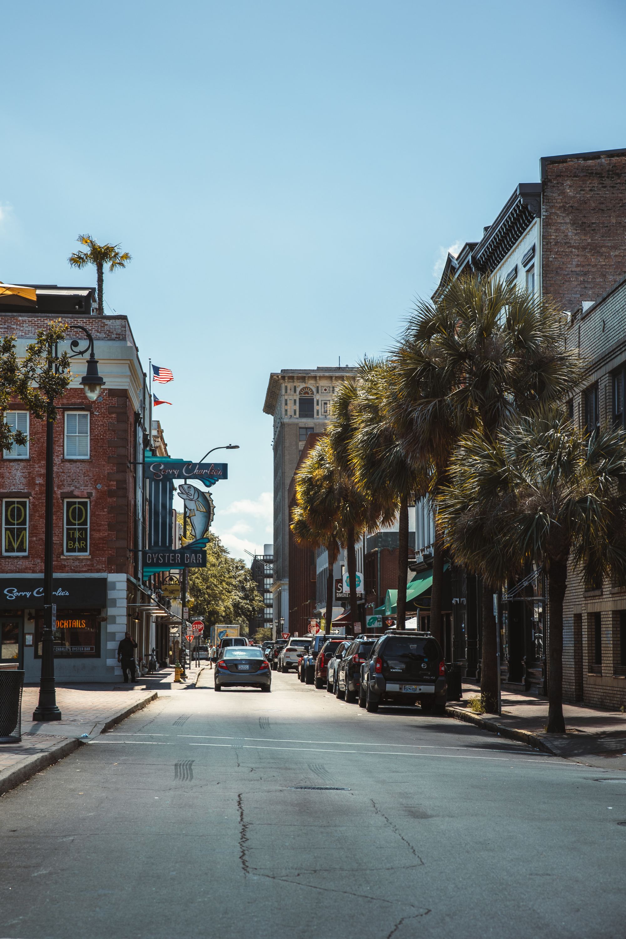 The Ultimate Savannah Experience
