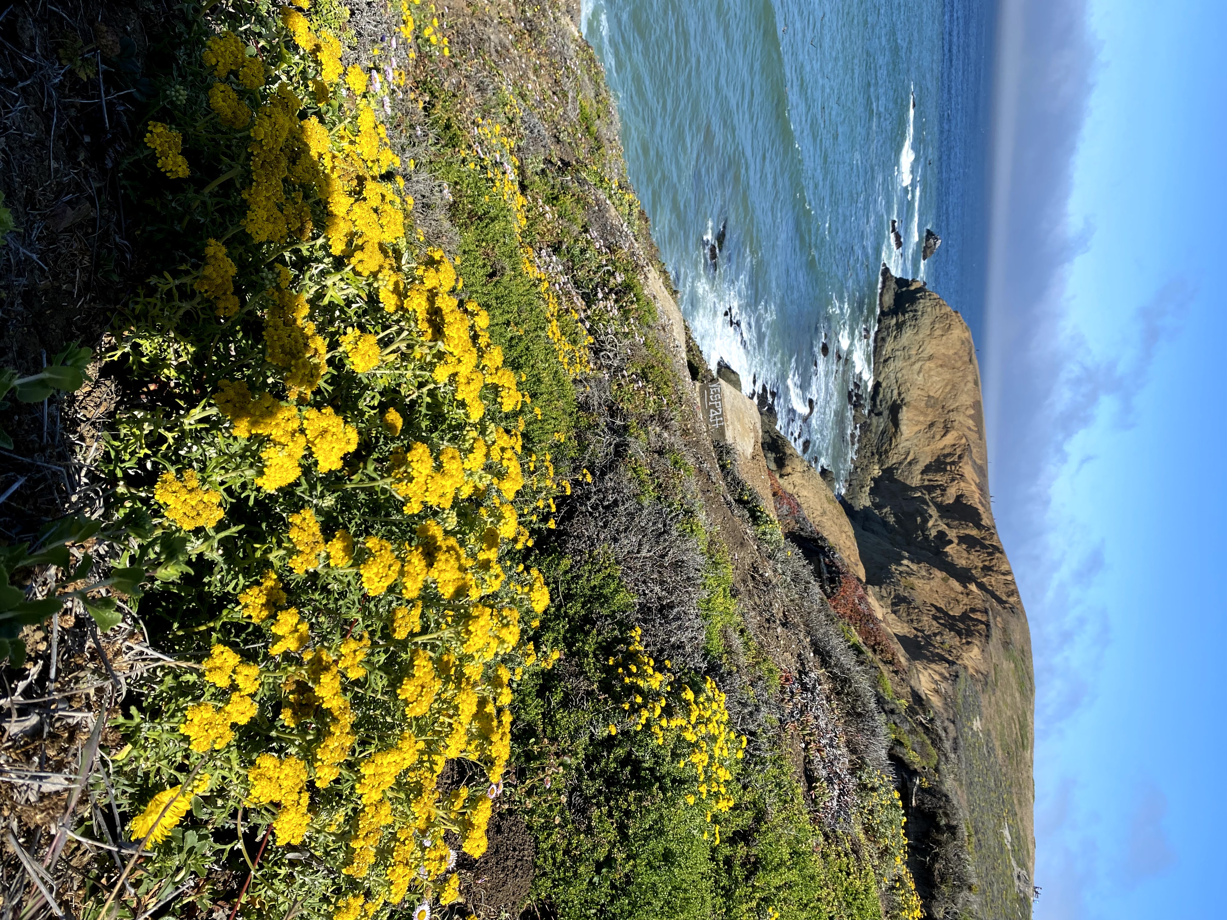 Where to Stay, Eat & Explore in Pacifica, California