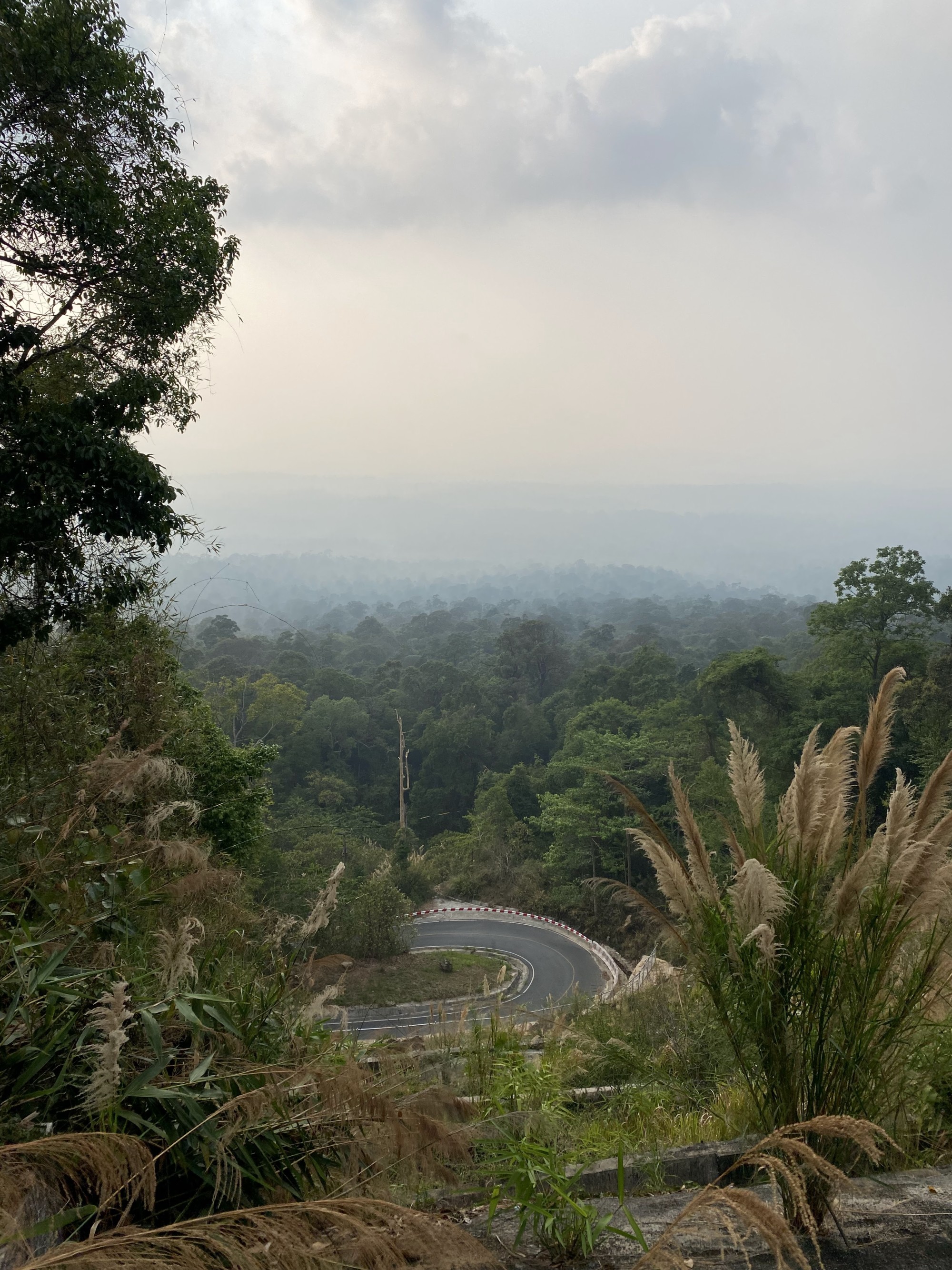 The Great National Parks of Thailand: Khao Yai and Khao Sok
