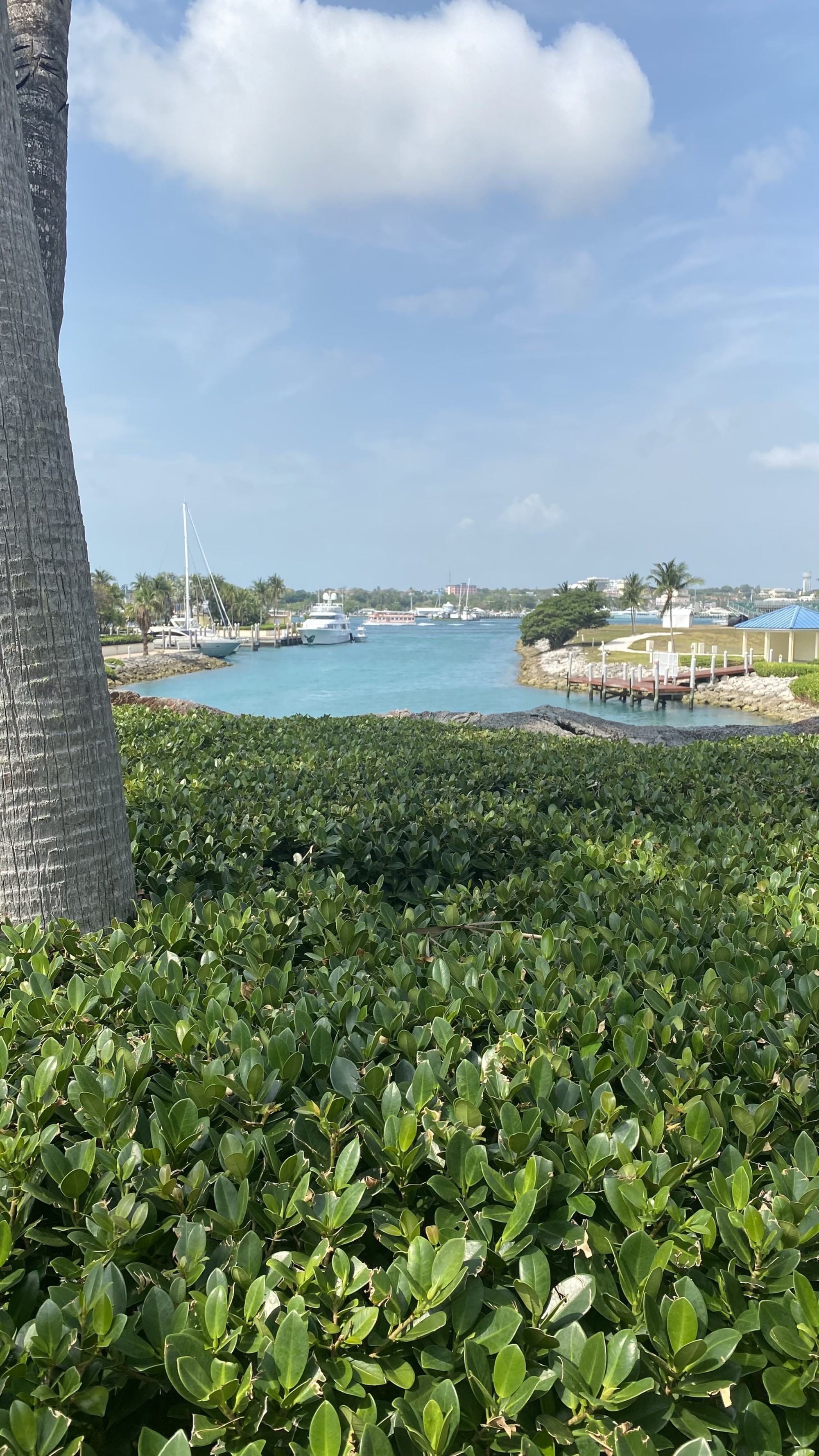 Lost in Paradise: An Ultimate Guide to Atlantis in Nassau