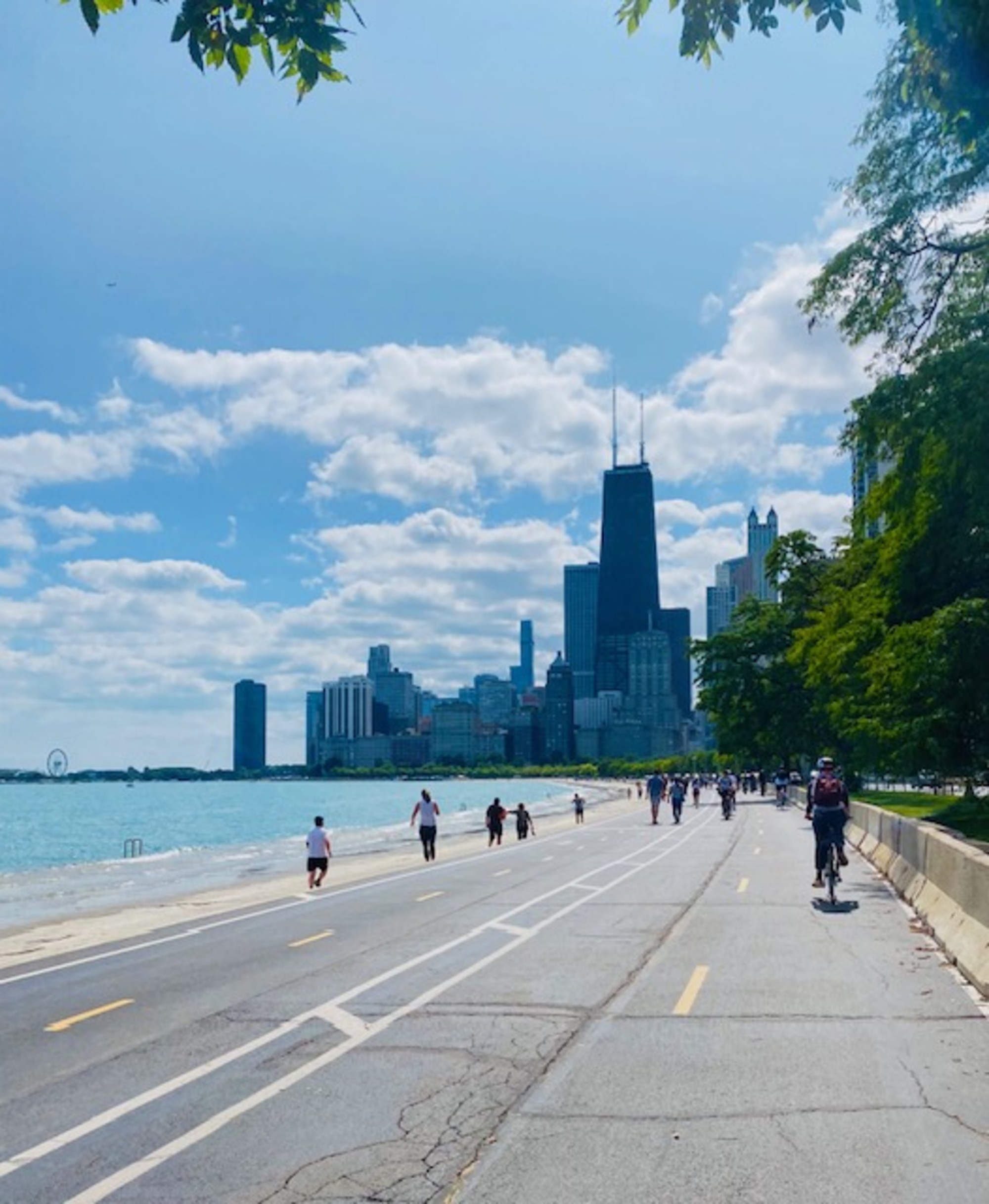 Explore Chicago: Top Spots to See, Eat, Drink, and Do