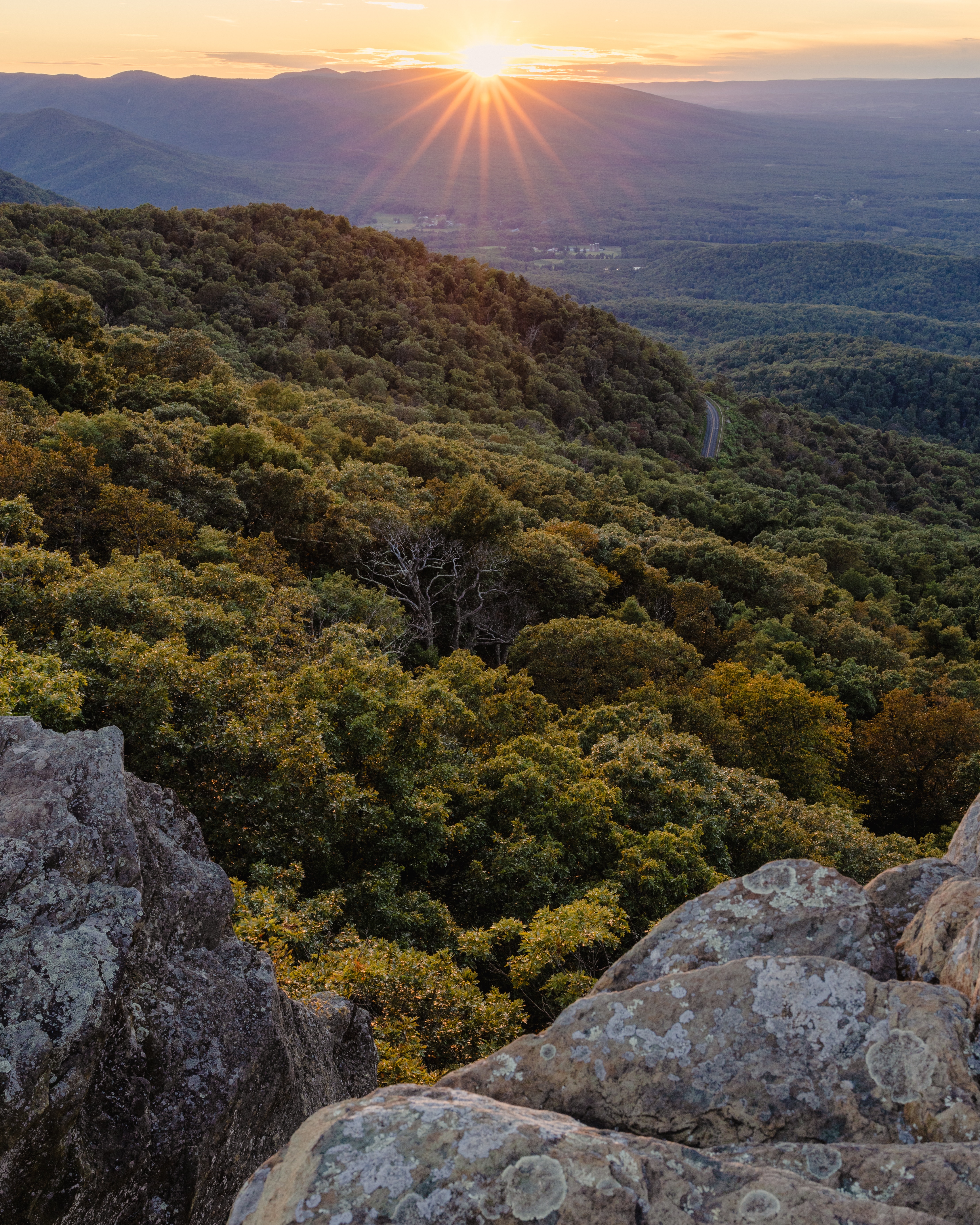 From History to Hospitality: Your DC to Atlanta Road Trip Guide