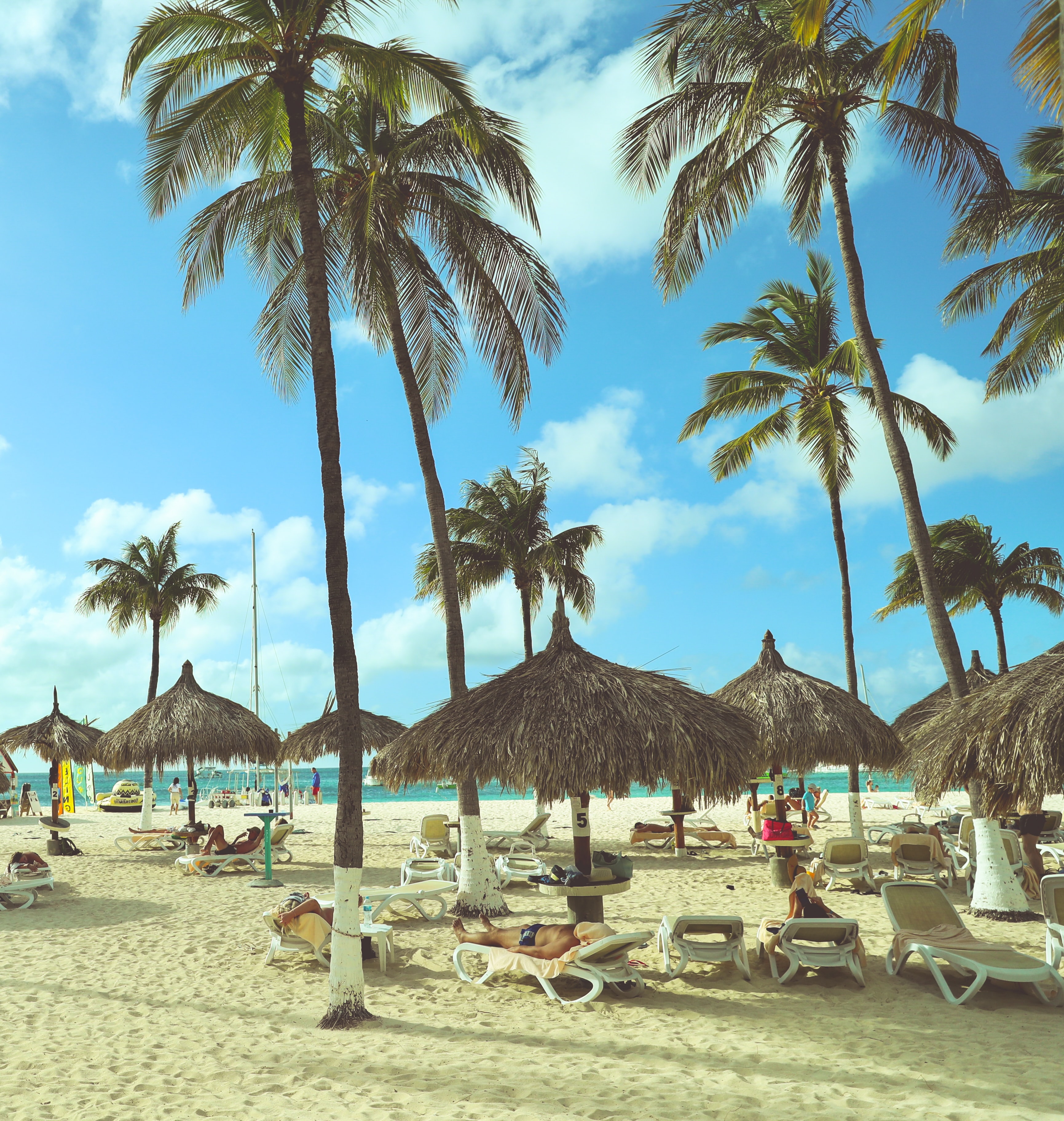 Guide to Adventure & Relaxation in Aruba