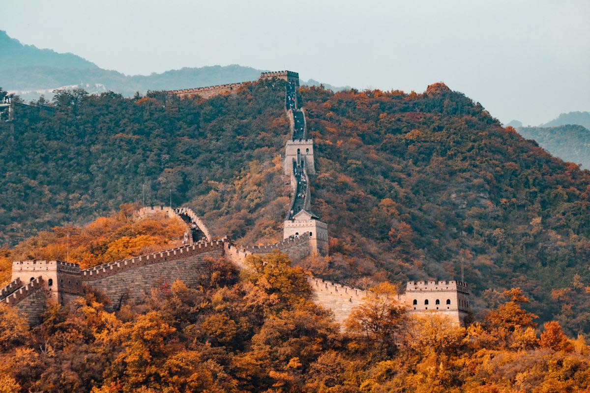 International Travel | Fora Travel