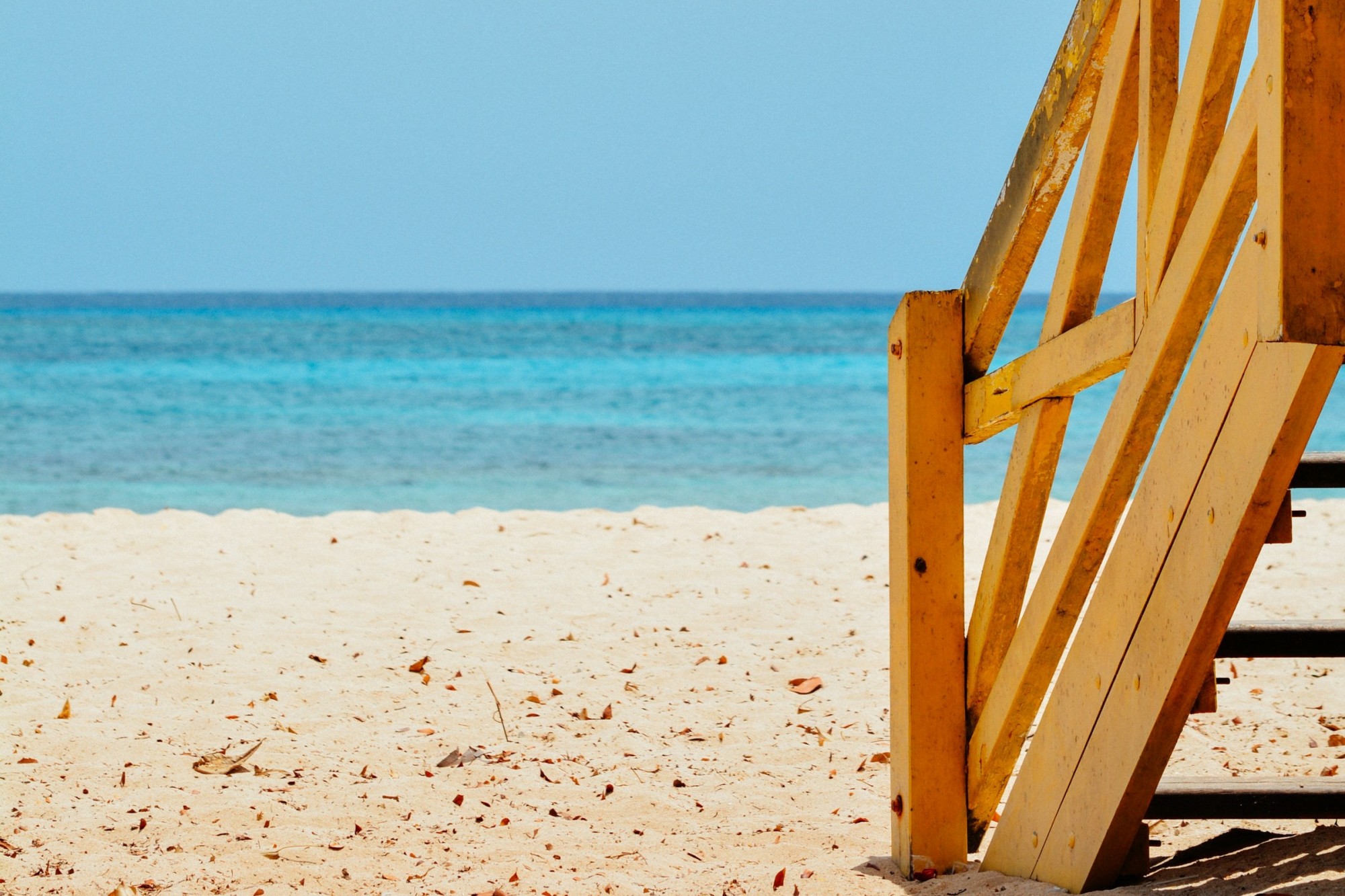 Flights to Barbados: Fora’s Insider Guide