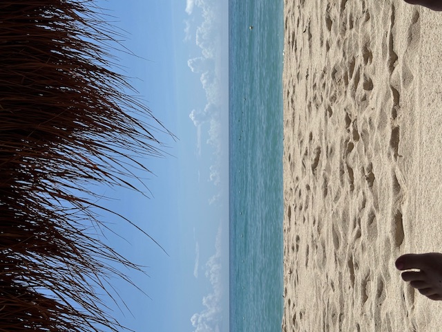 Valentin Imperial Maya: My Home Away From Home