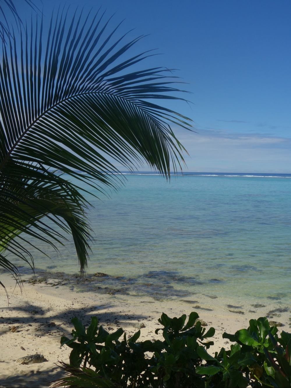 Rarotonga Revealed: Your Ultimate Guide to Paradise