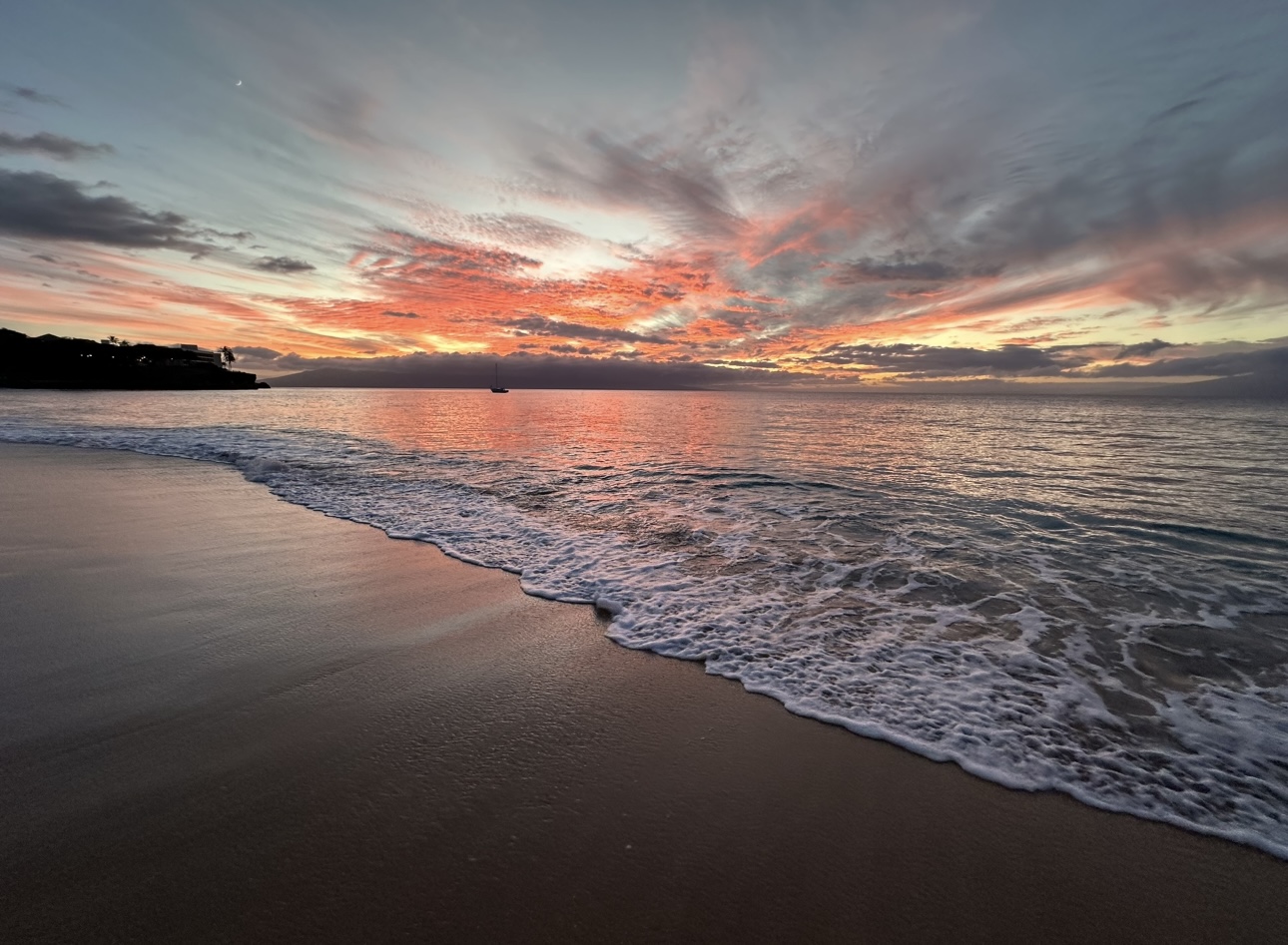 Dianna Zychowski | Fora Travel