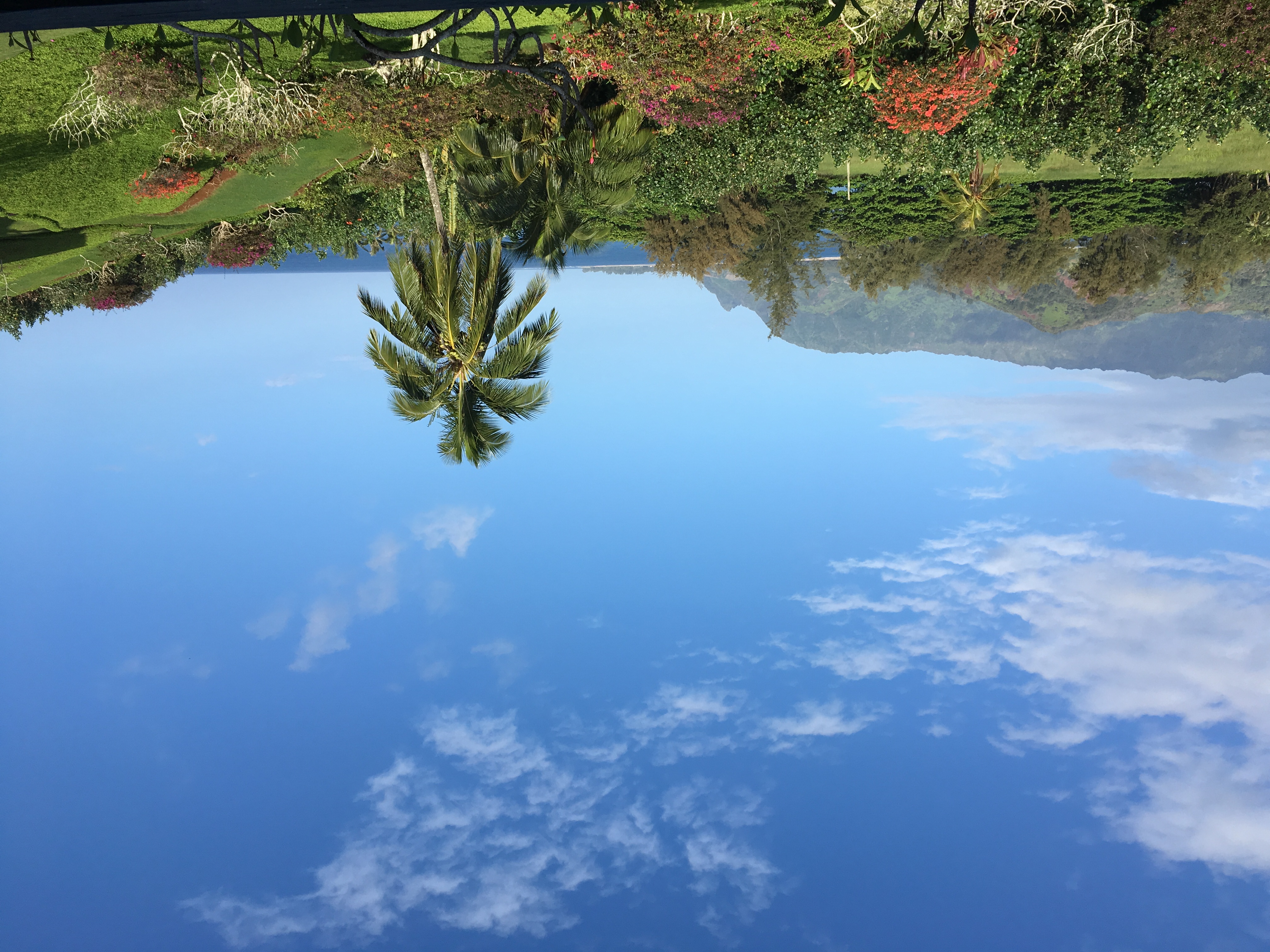 Dan Van Ryzin | Fora Travel