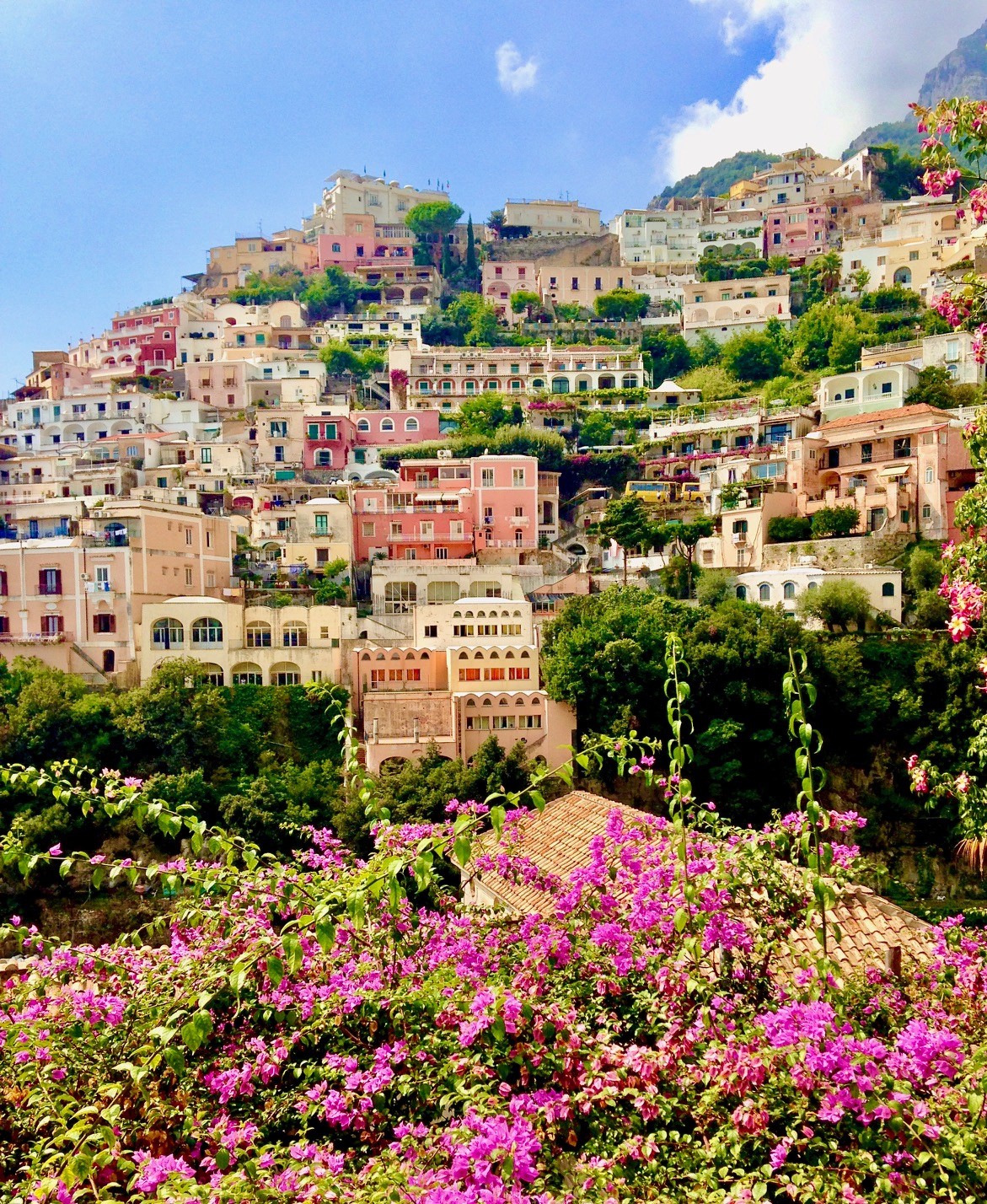 Shannon Reeves | Fora Travel