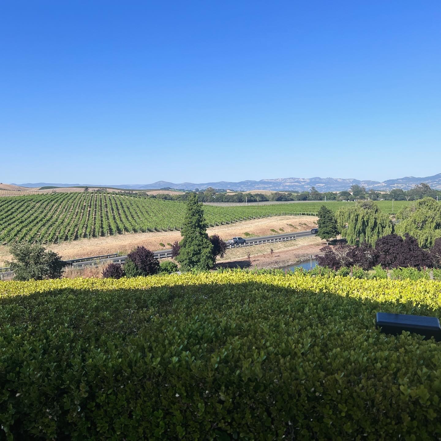 Girls’ Getaway: Four Days in California Wine Country