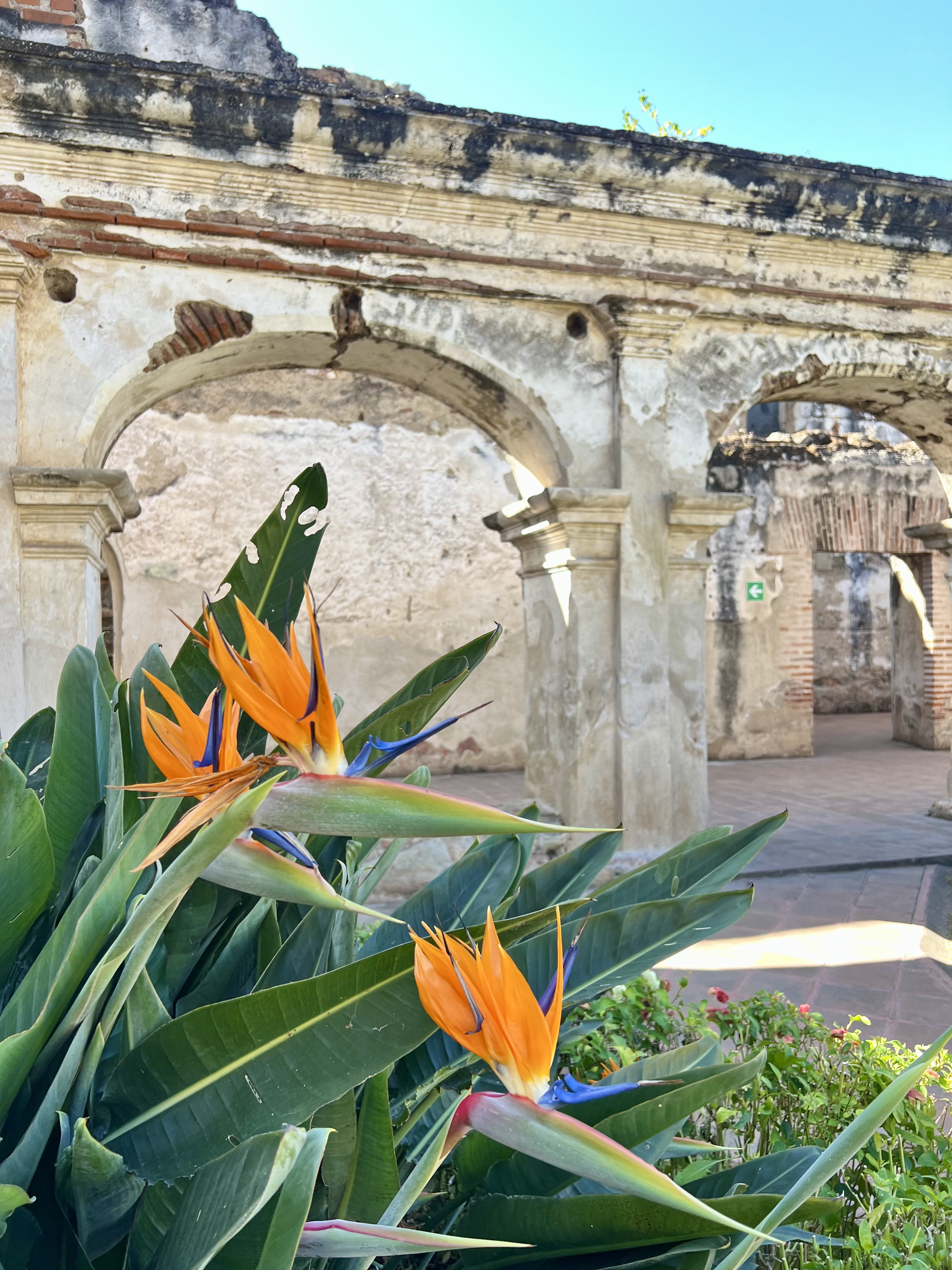 Antigua Awaits: A Guide to Guatemala’s Colonial Gem