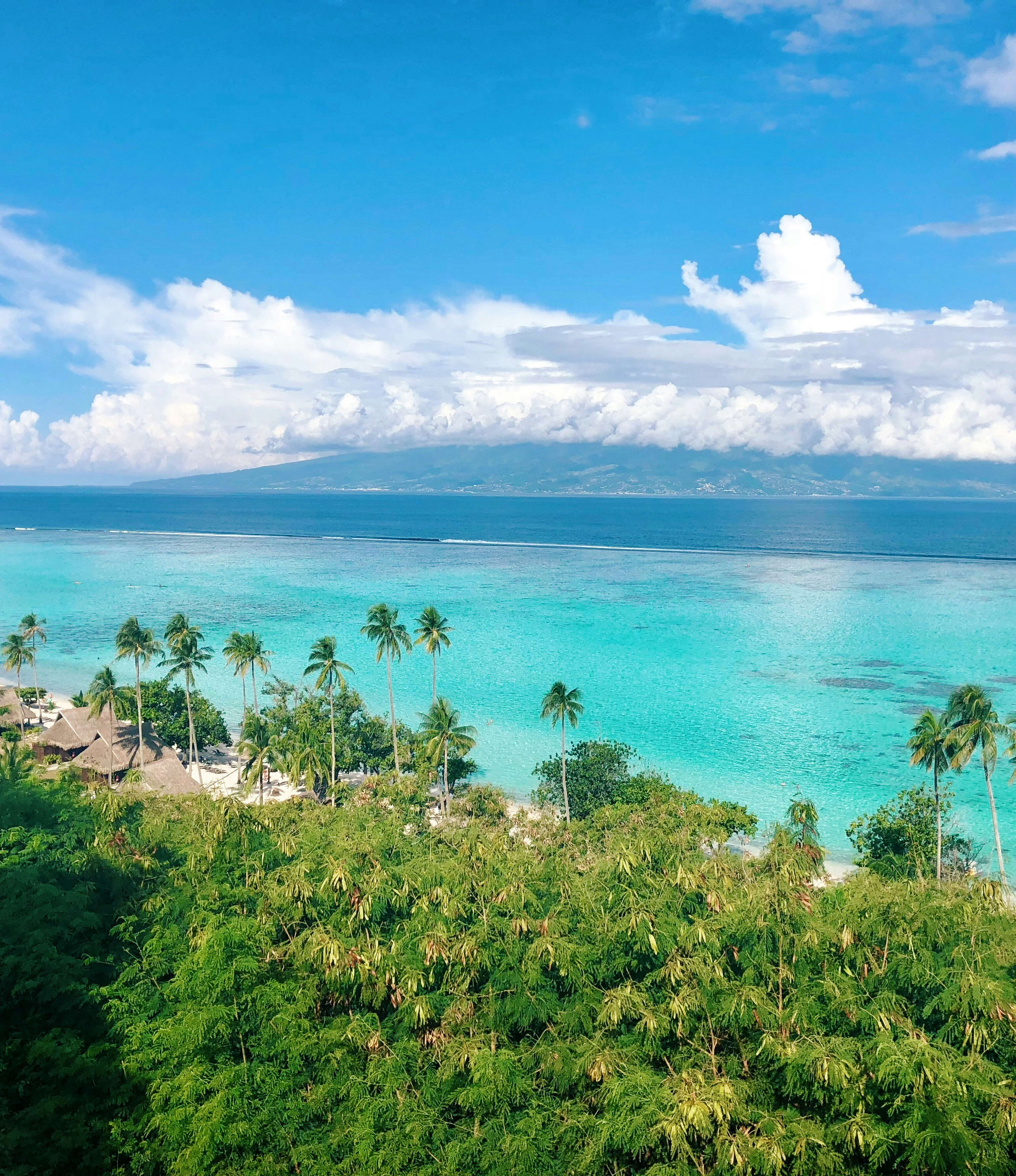 First Timer's Guide to Moorea